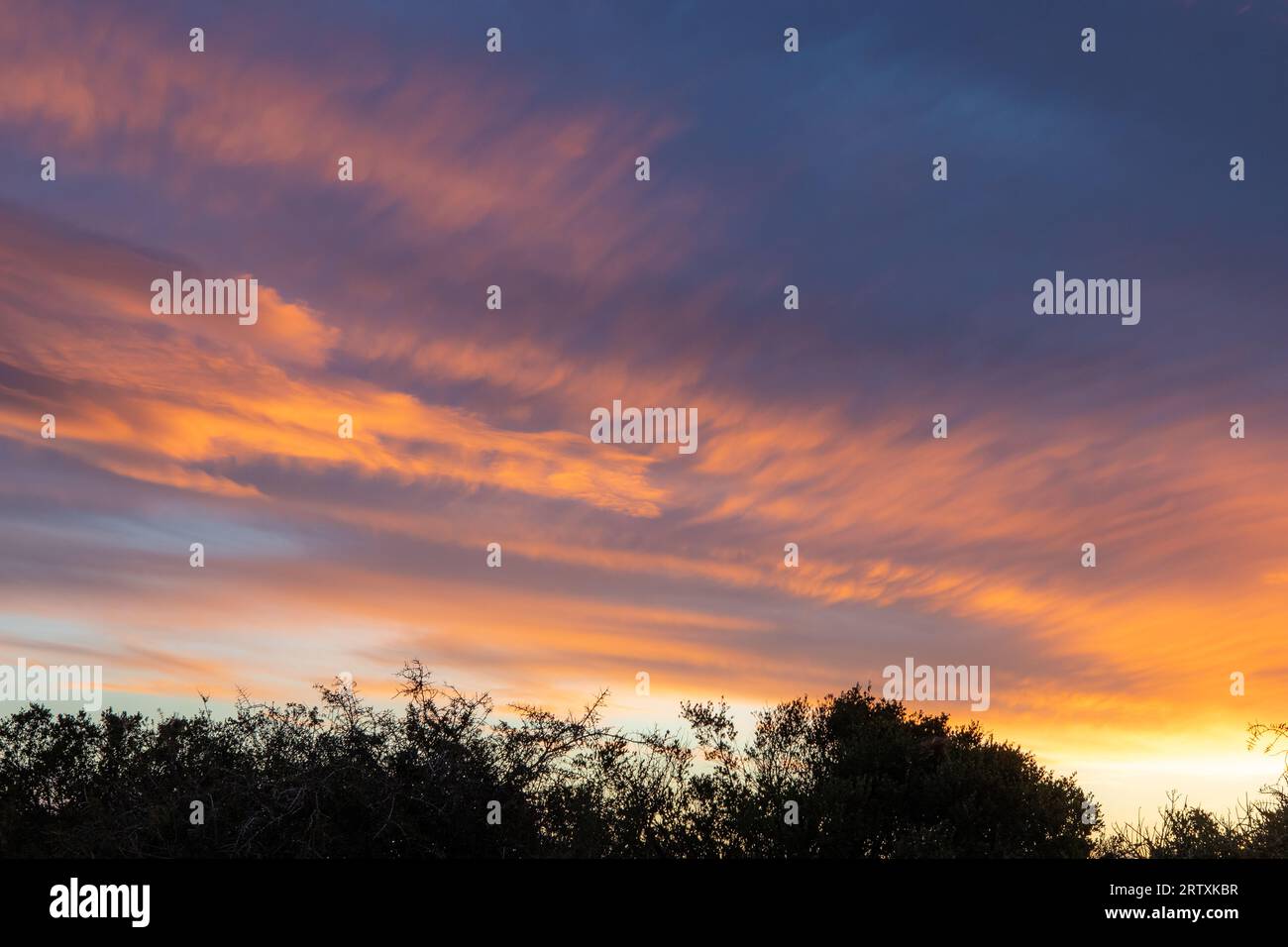 Sunset in South Africa Stock Photo - Alamy