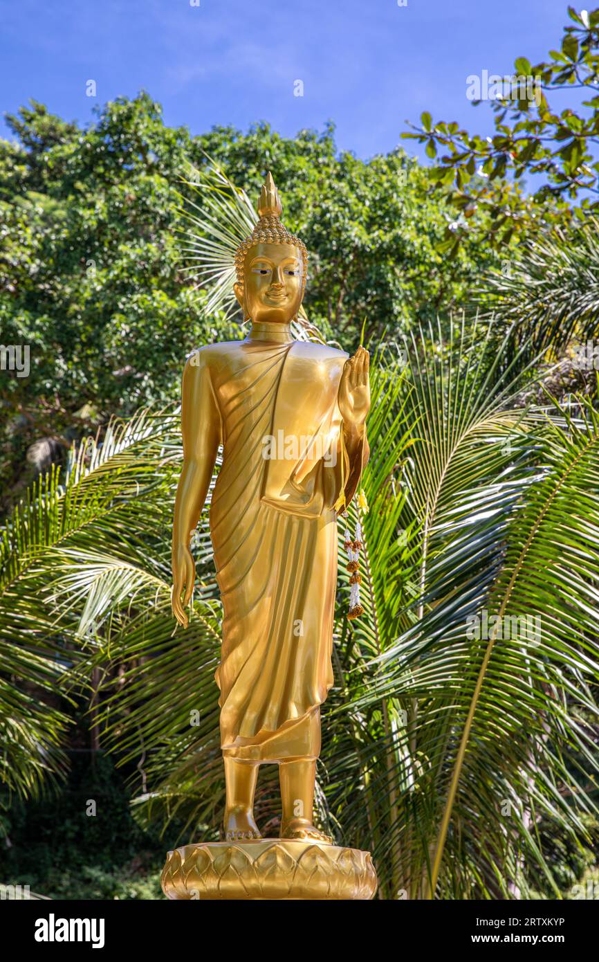 Statue of Buddha,Buddha, Koh Chang Island, Thailand Stock Photo - Alamy