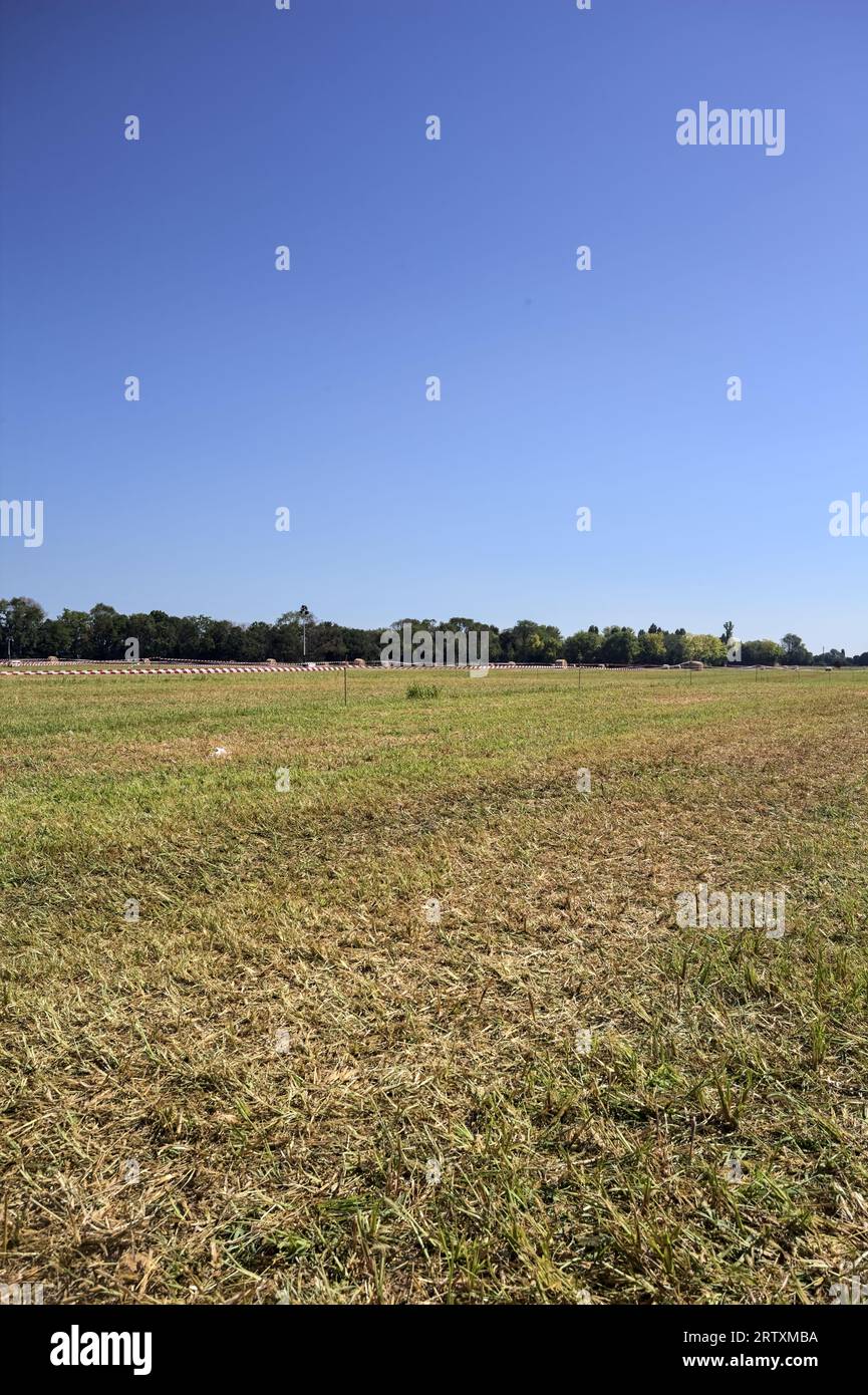 Mowed field bordered by trees with bales in the distance on a sunny day ...