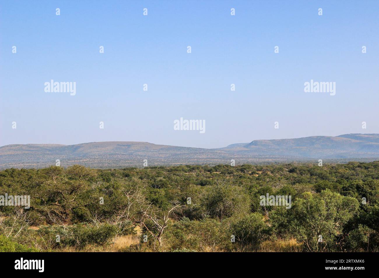 The lush landscape of the Mkhuze or Mkuze Game Reserve, northern ...