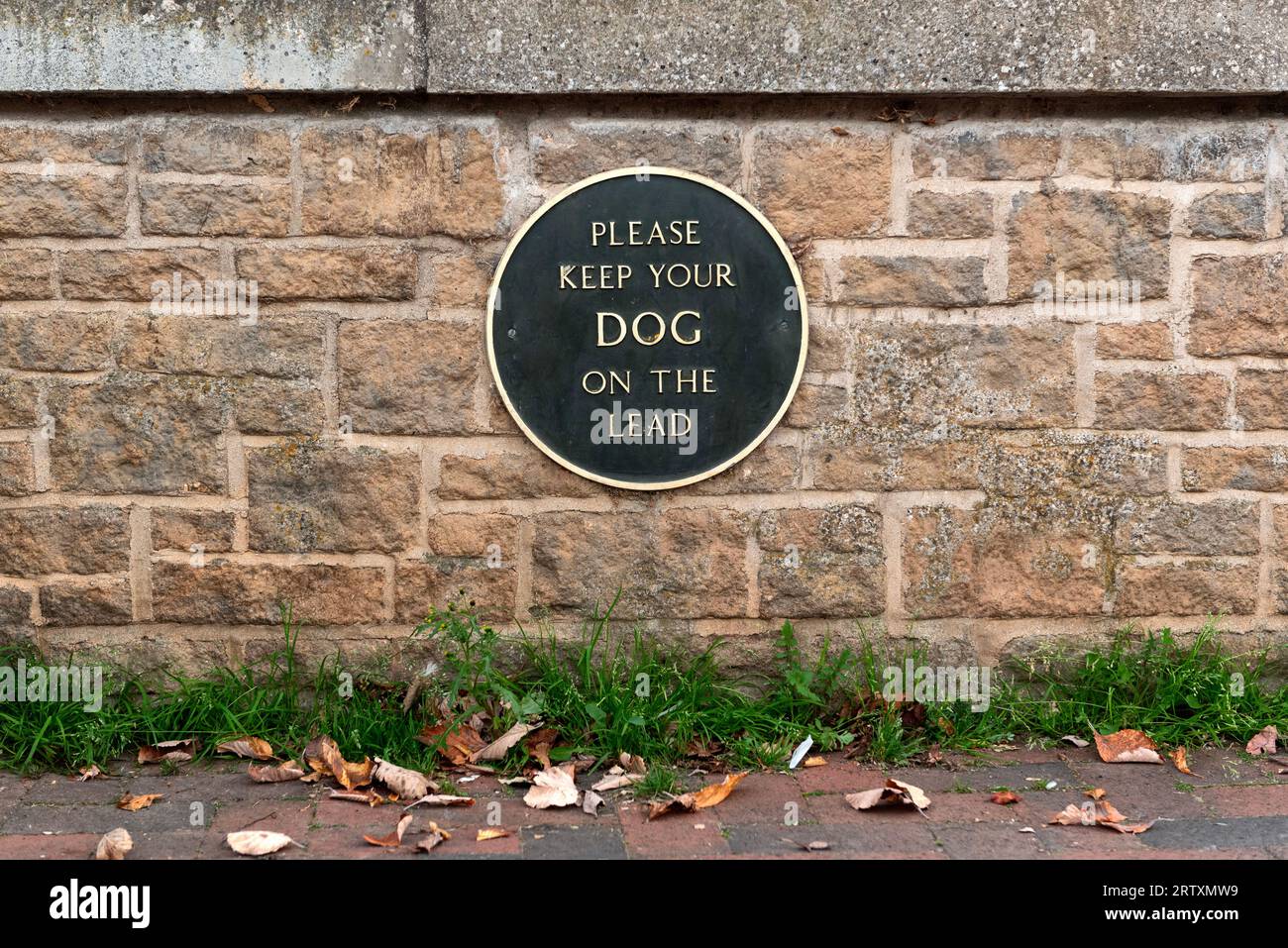 Keep your dog on the lead sign Stock Photo - Alamy