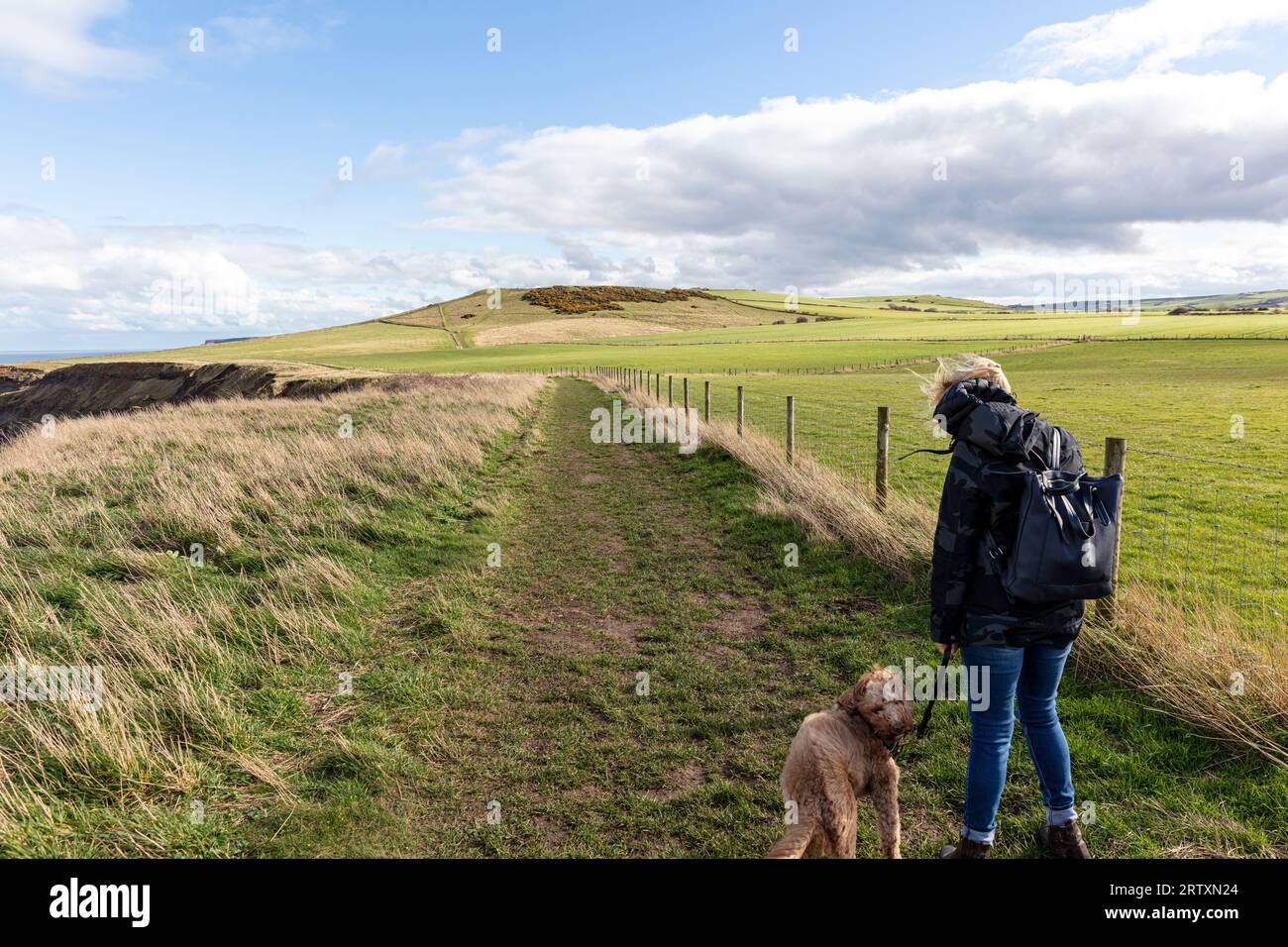 The Cleveland Way, North Yorkshire Coast, UK, England, The walk from ...