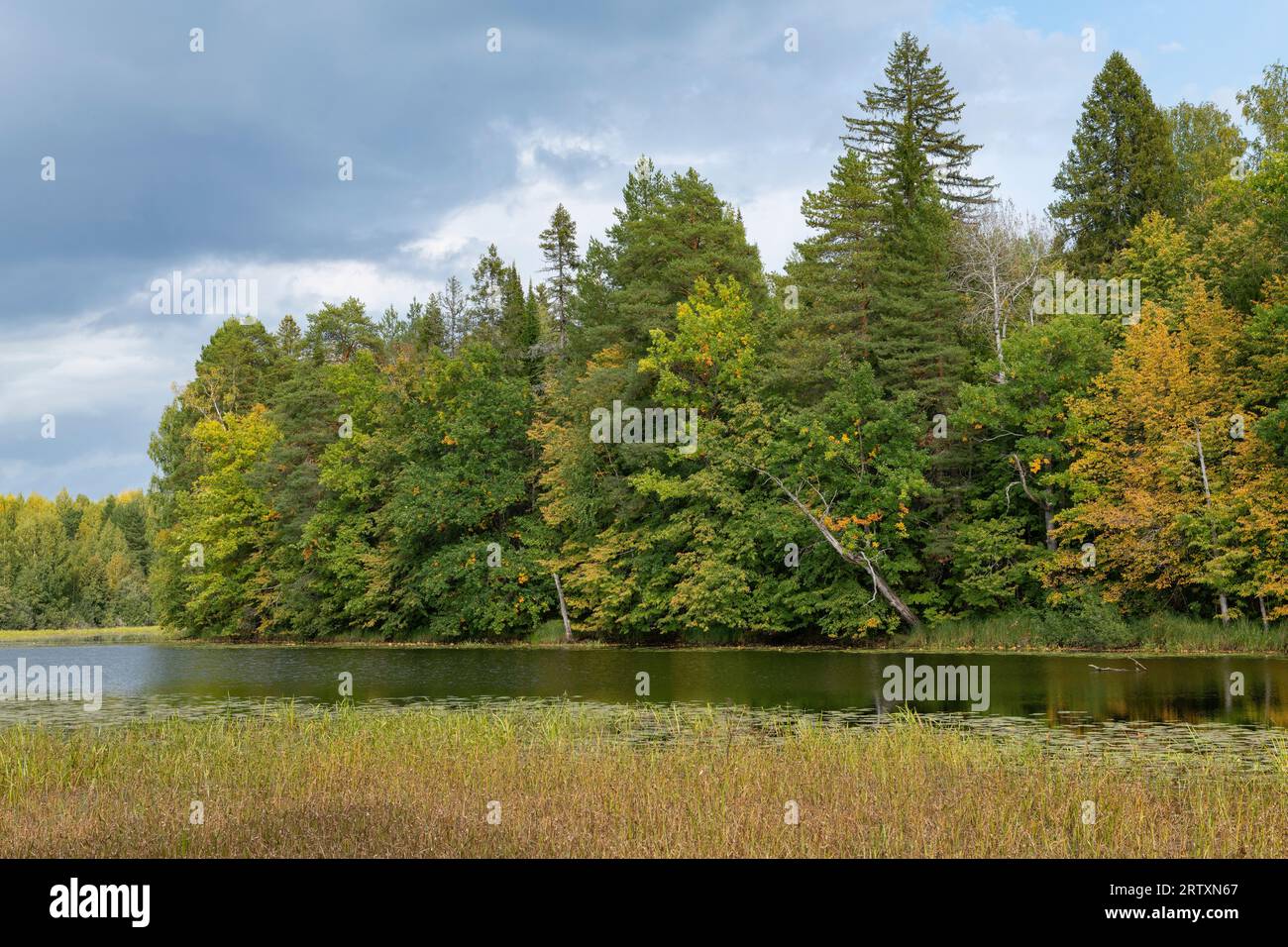 September day on the old riverbed of Vetluga river. Kostroma region ...
