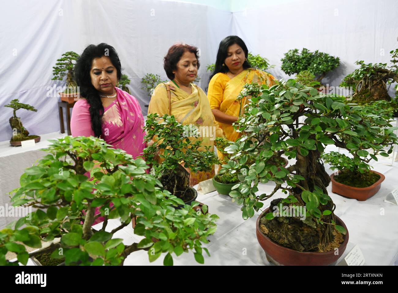 Bangladeshi Visitors in the miniature tree (Bansai tree) exhibition in ...