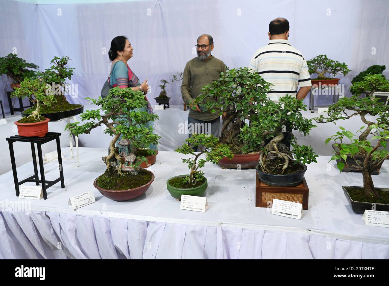 Bangladeshi Visitors in the miniature tree (Bansai tree) exhibition in ...