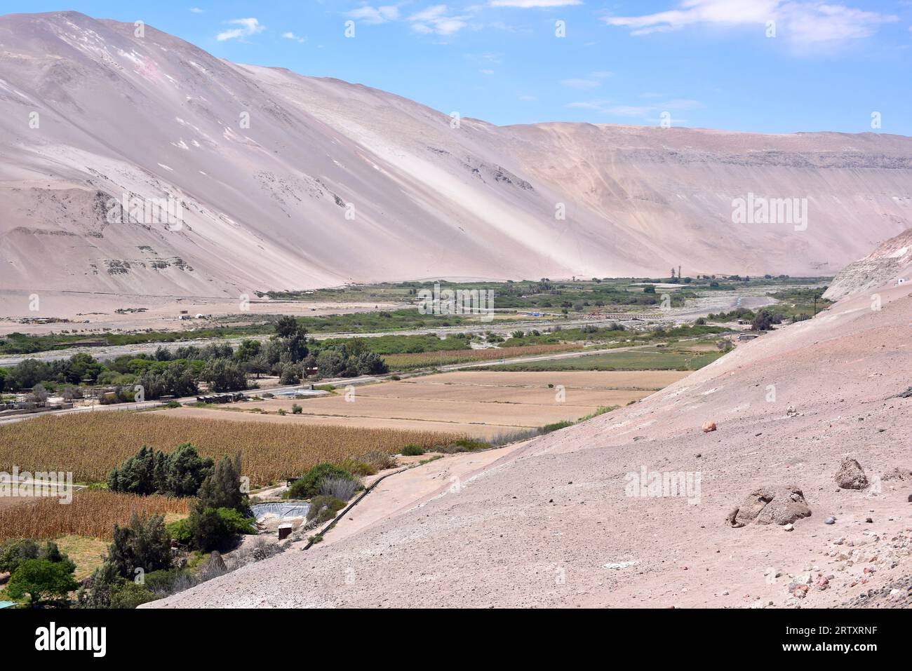 Lluta valley, river and farmlands. Arica, Norte Grande de Chile, Region ...