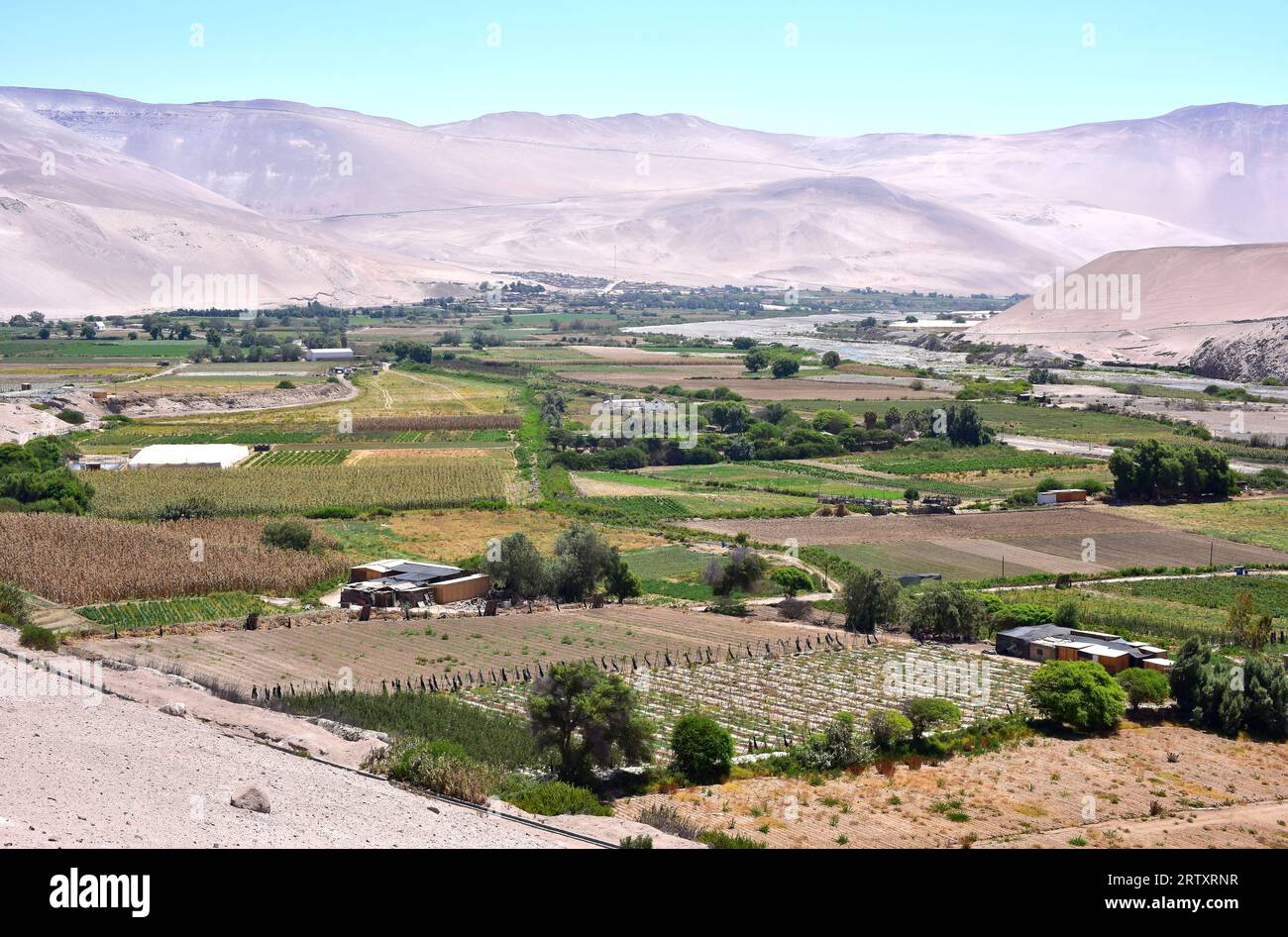 Lluta valley, river and farmlands. Arica, Norte Grande de Chile, Region ...
