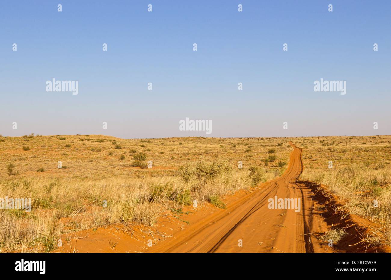 Open dirt road in the Kgalagadi Transfrontier Park, Kalahari, South ...
