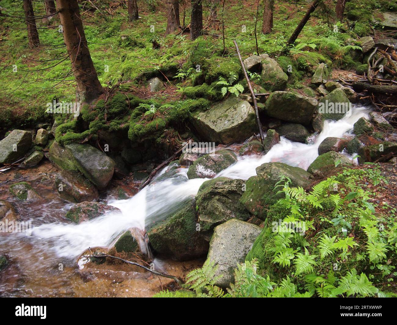 Karkonosze National Park (Karkonosze Mountains, Sudeten Mountains ...