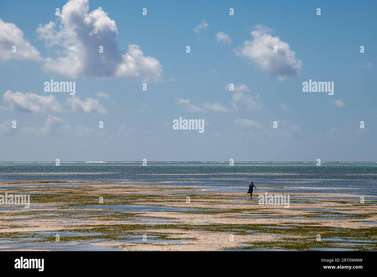 traditional clam hunter off the white sands of Zanzibar Stock Photo - Alamy