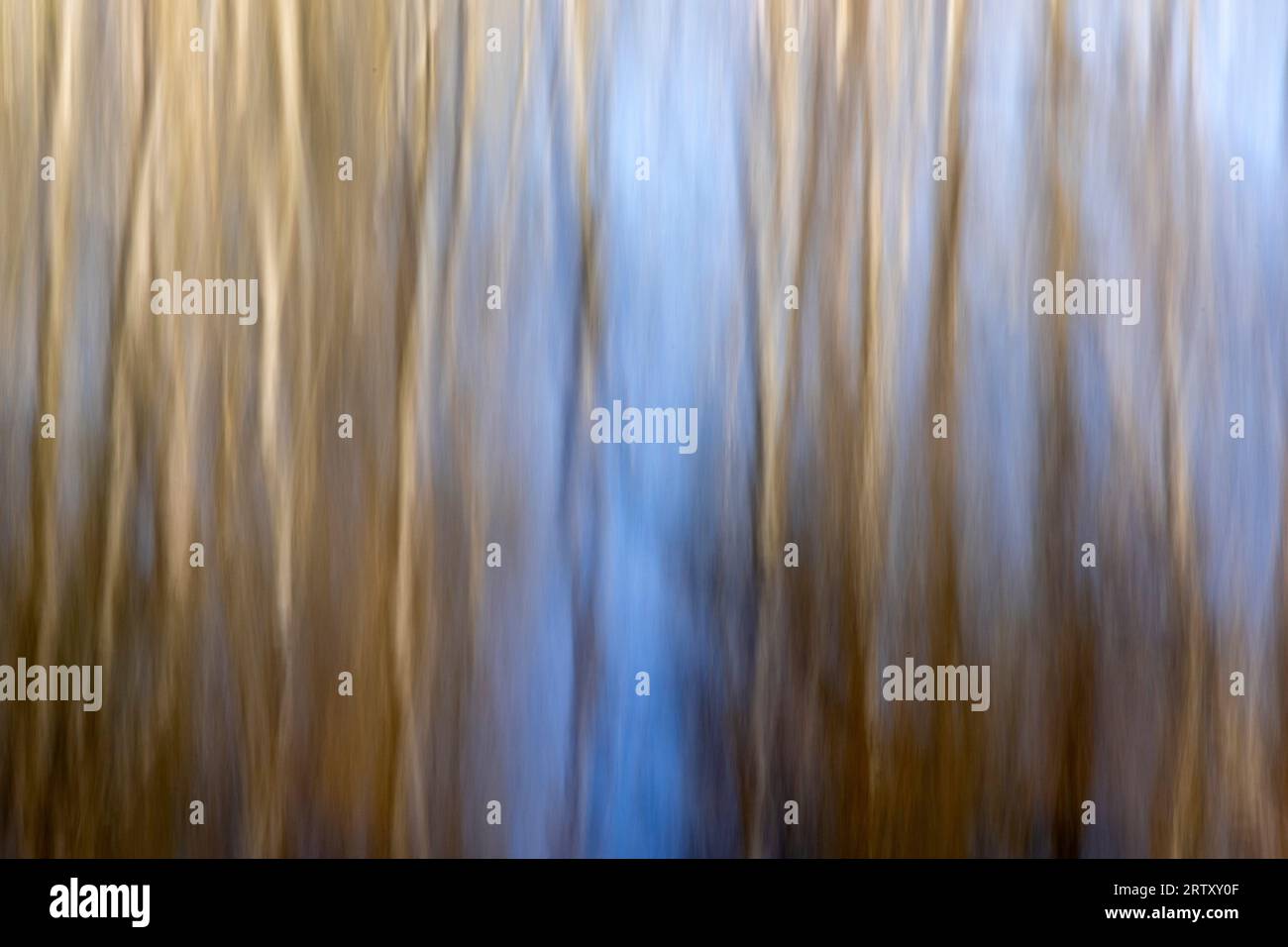 In the movement hi-res stock photography and images - Alamy