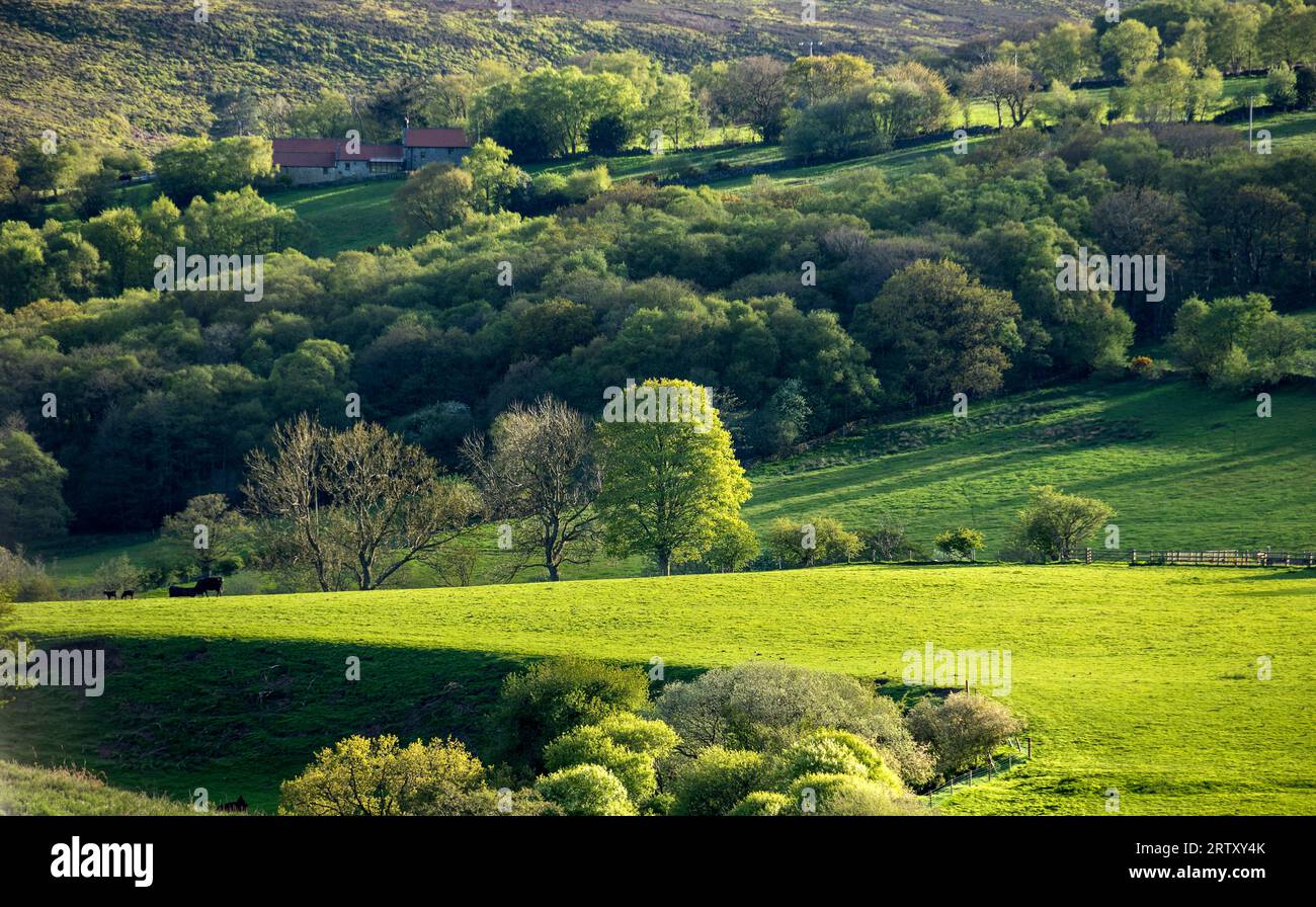 Castleton moors hi-res stock photography and images - Alamy