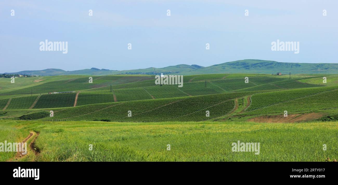 Green fields stretches hi-res stock photography and images - Alamy