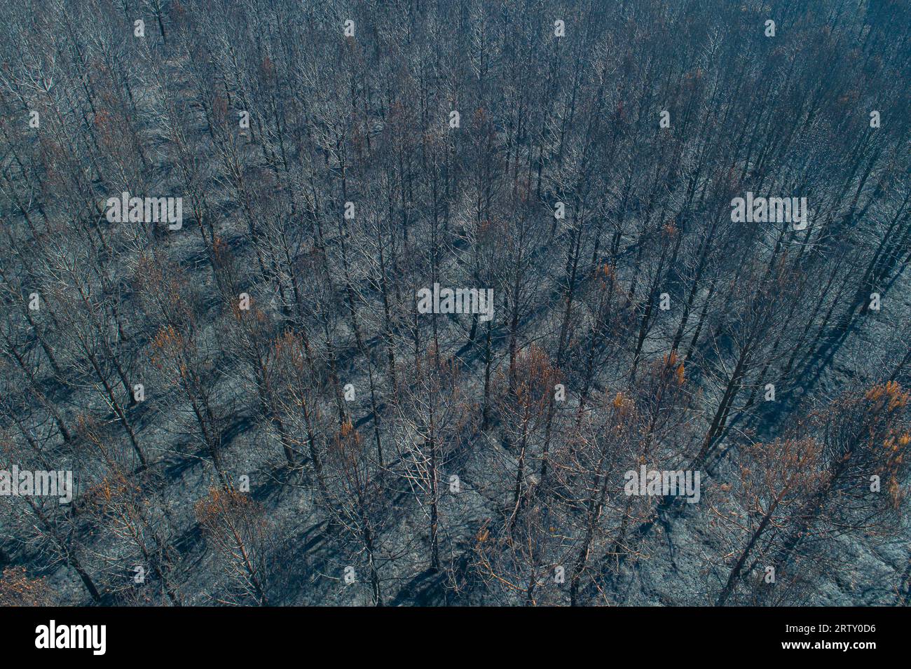 Aerial field fire hi-res stock photography and images - Alamy