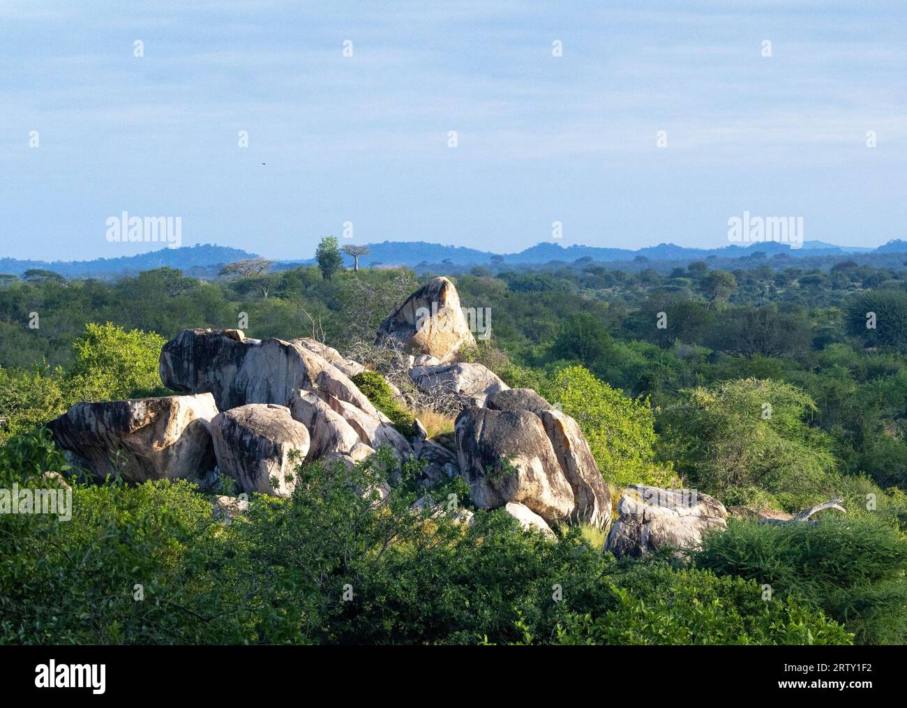 The Tanzanian Craton has many features created by weather-resistant ...