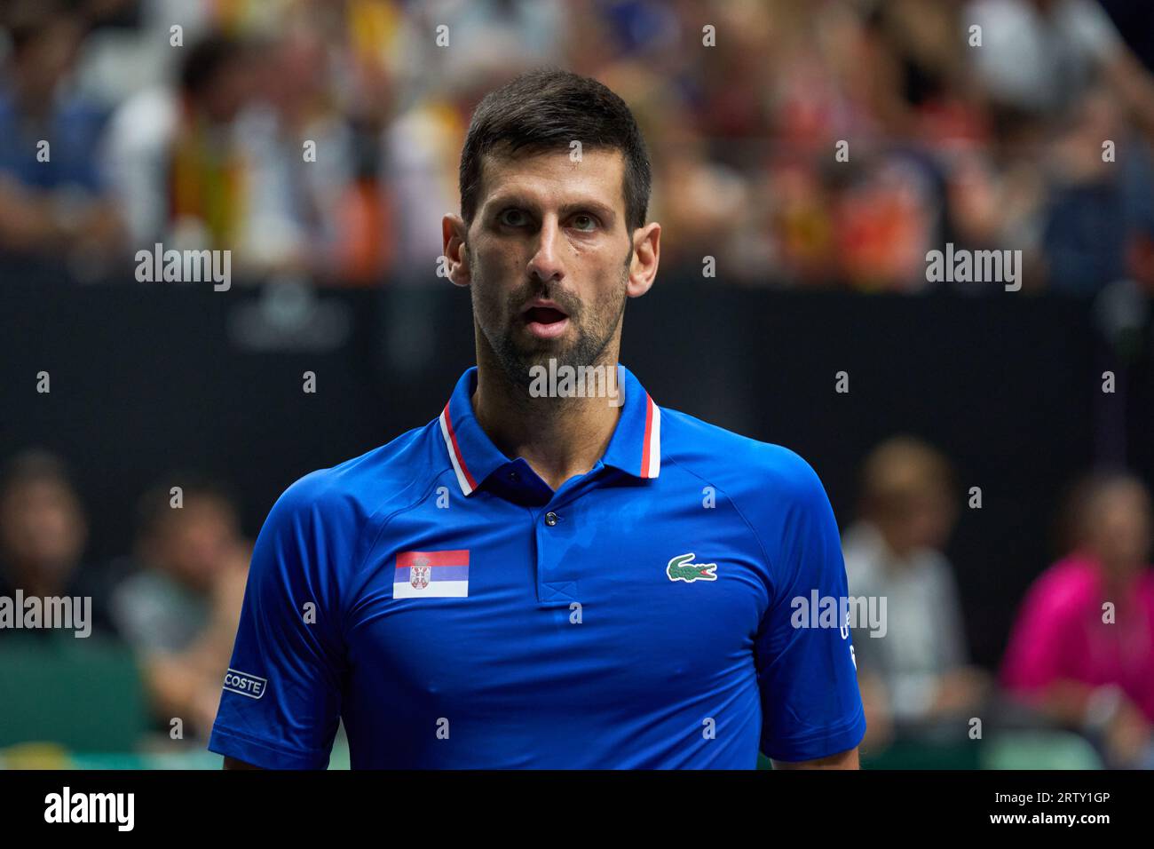 Novak Djokovic of Serbia in action during the Valencia Davis Cup Finals ...