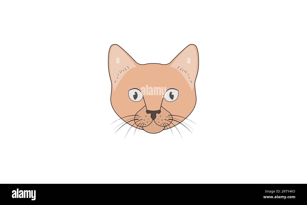 Cat face art on Stock Vector Images - Alamy