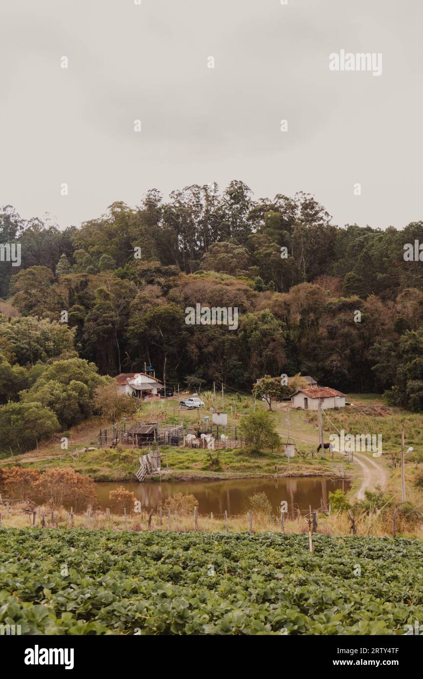 Simple rural life hi-res stock photography and images - Alamy