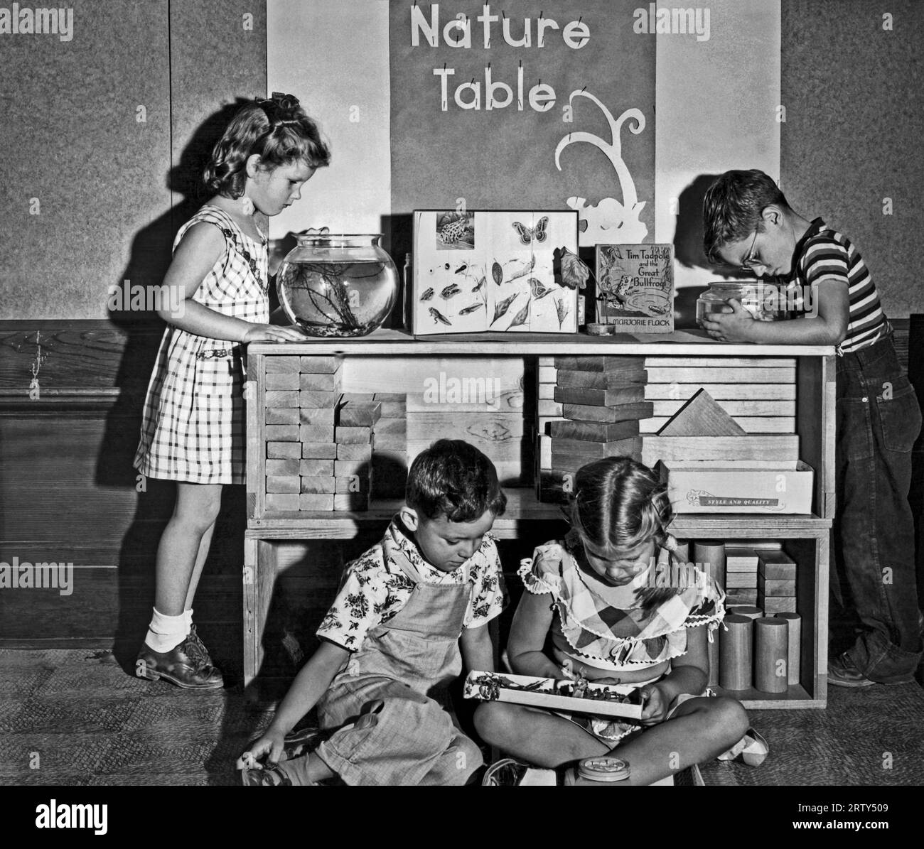 United States c. 1957. Children using the Nature Table in a classroom ...