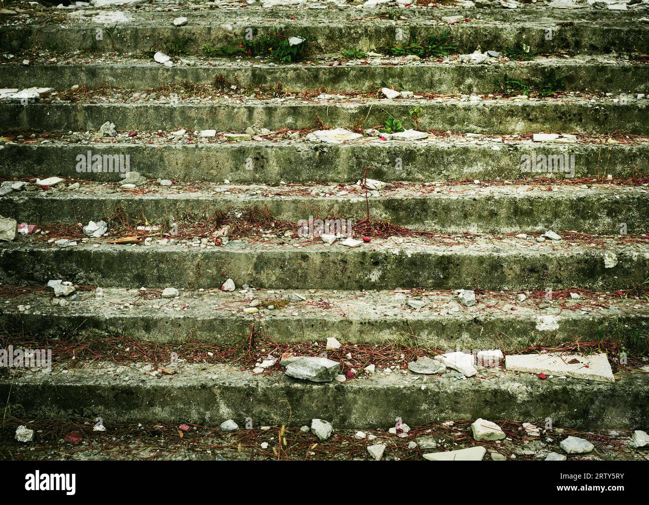 Mossy stairs hi-res stock photography and images - Alamy