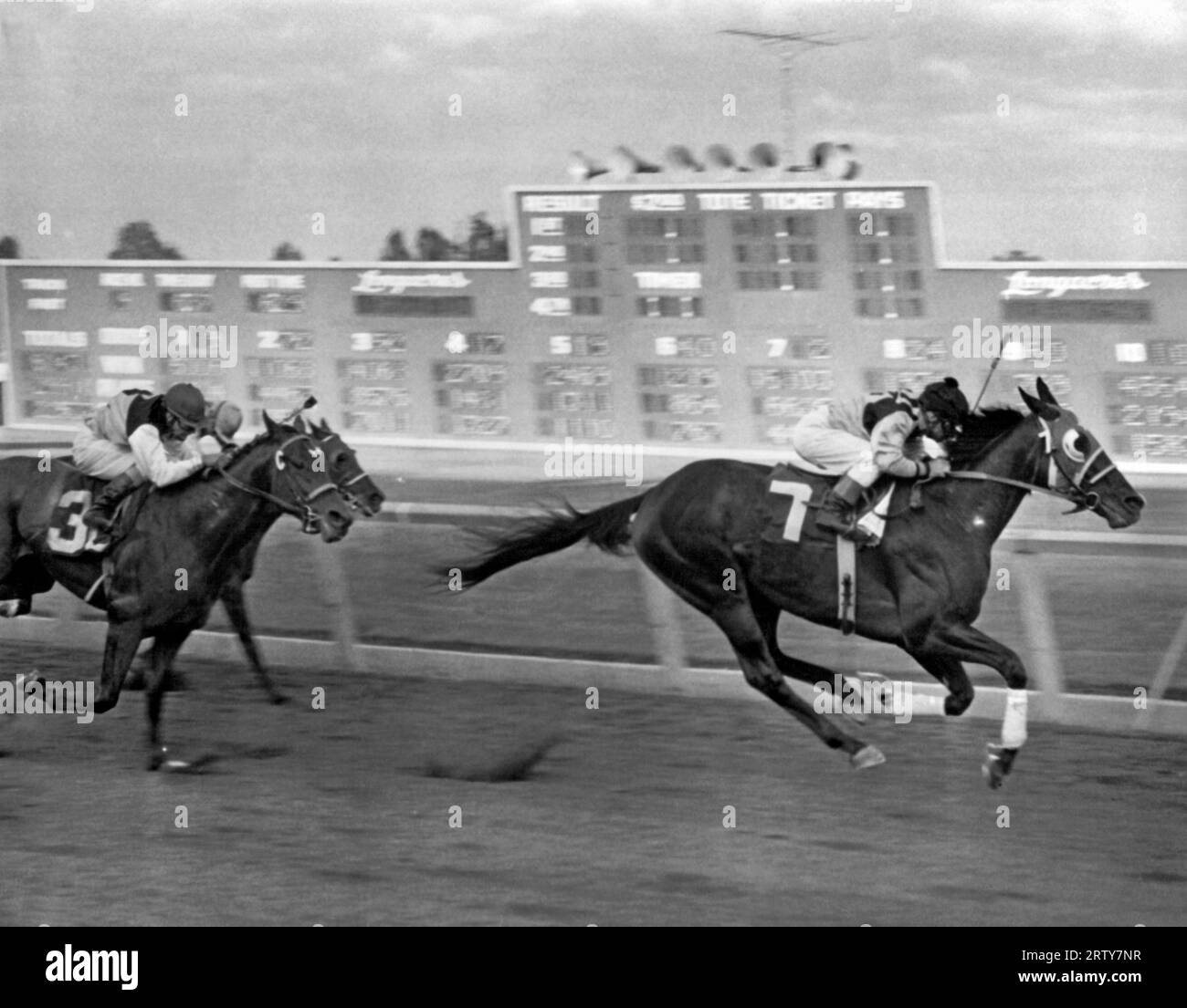Seattle, Wahington August 27, 1962 With veteran jockey Johnny Longden ...