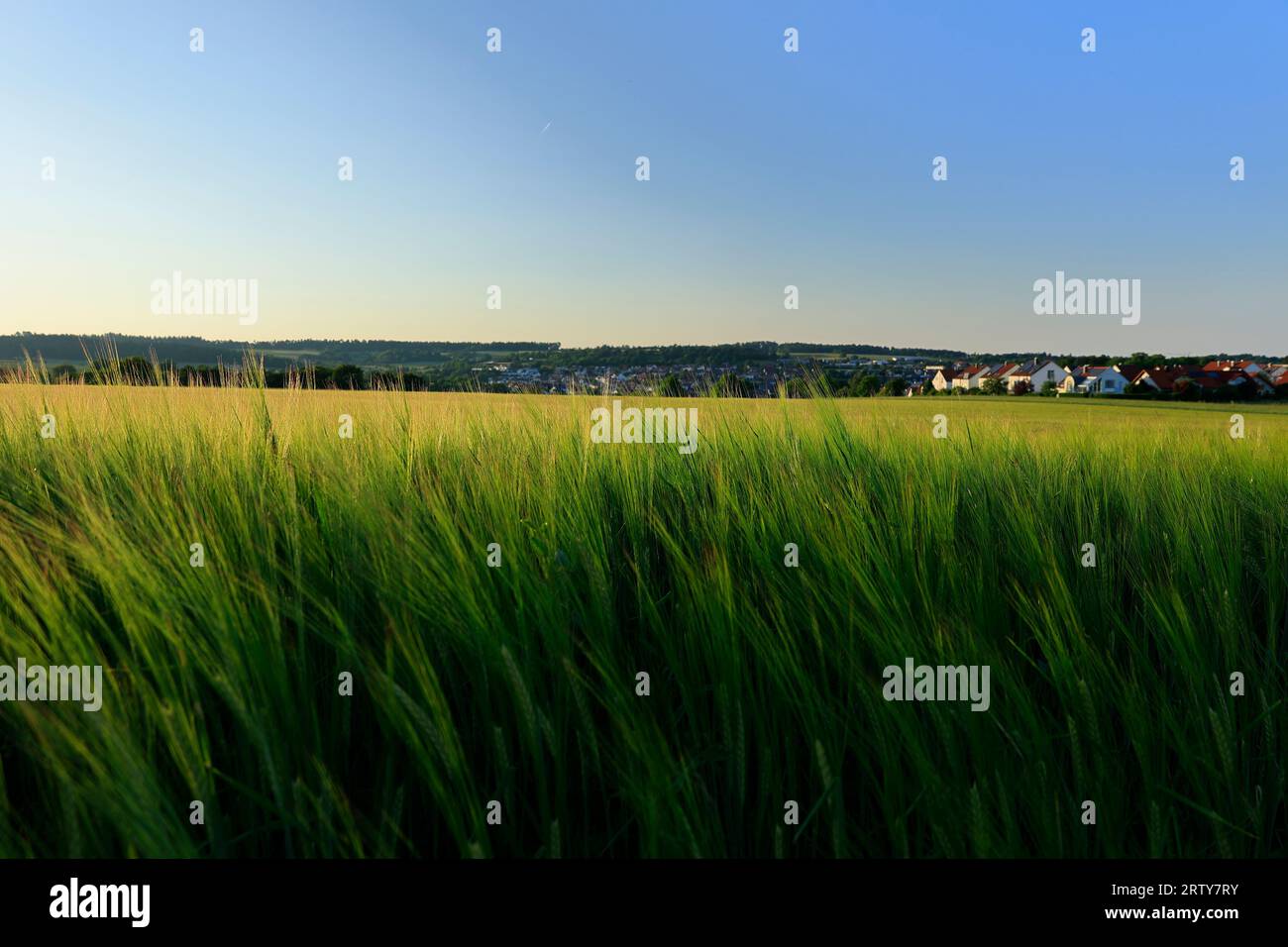 Low sun in sky hi-res stock photography and images - Alamy