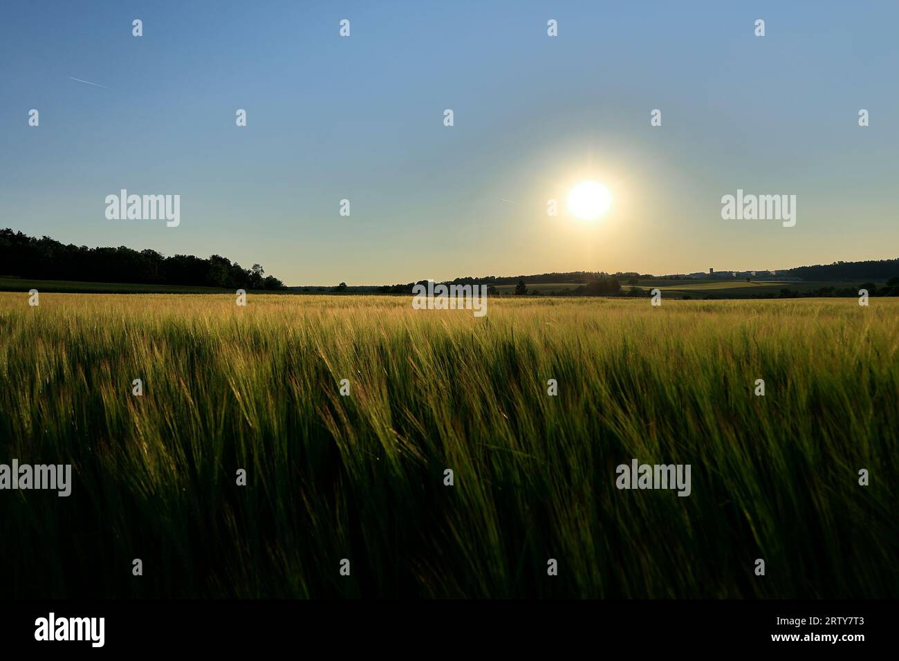 Beautiful sunset over field in hi-res stock photography and images - Alamy
