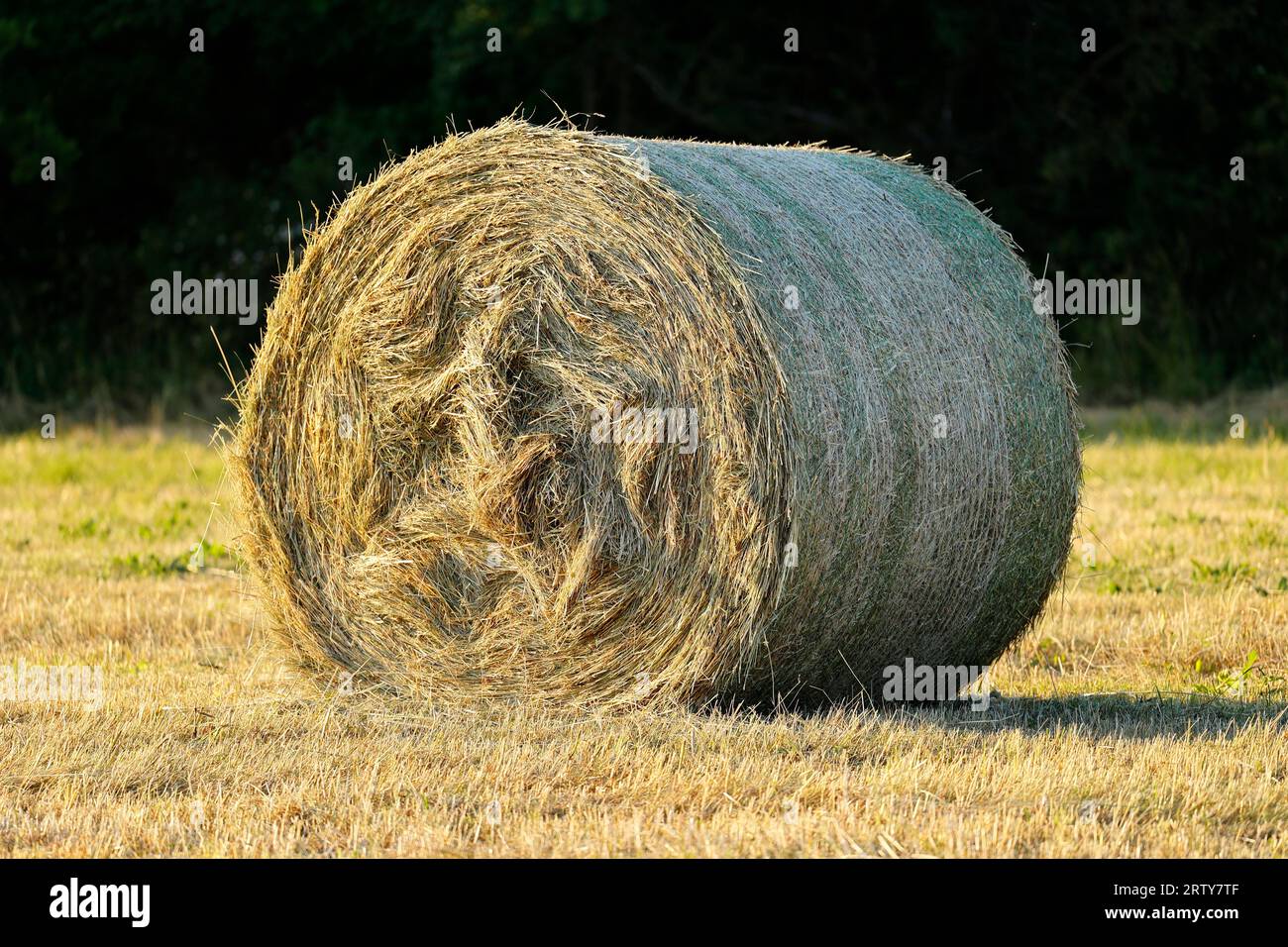 Storing Round Bales