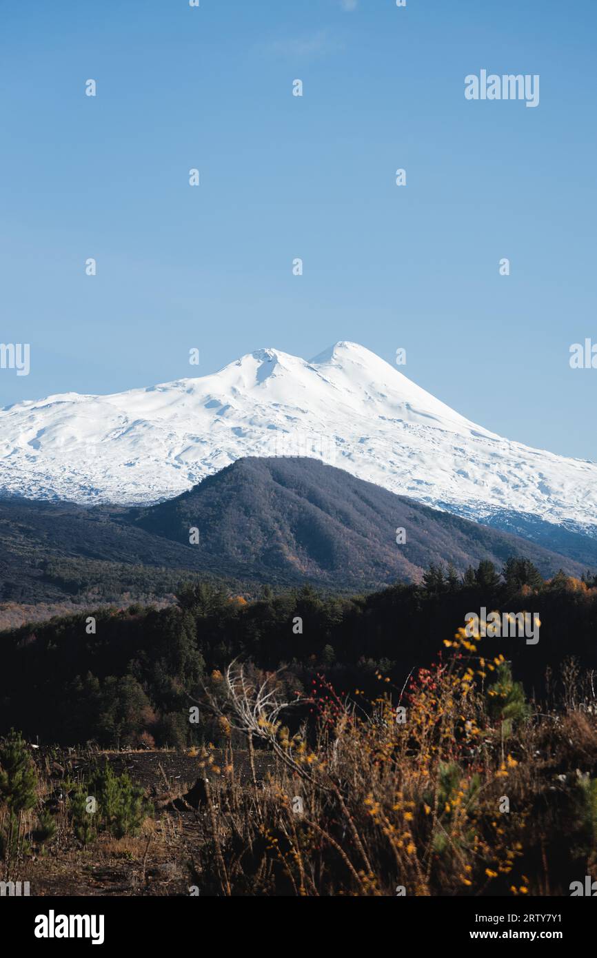 Landscape of a Llaima Volcano, in Conguillio National Park, Chile Stock ...