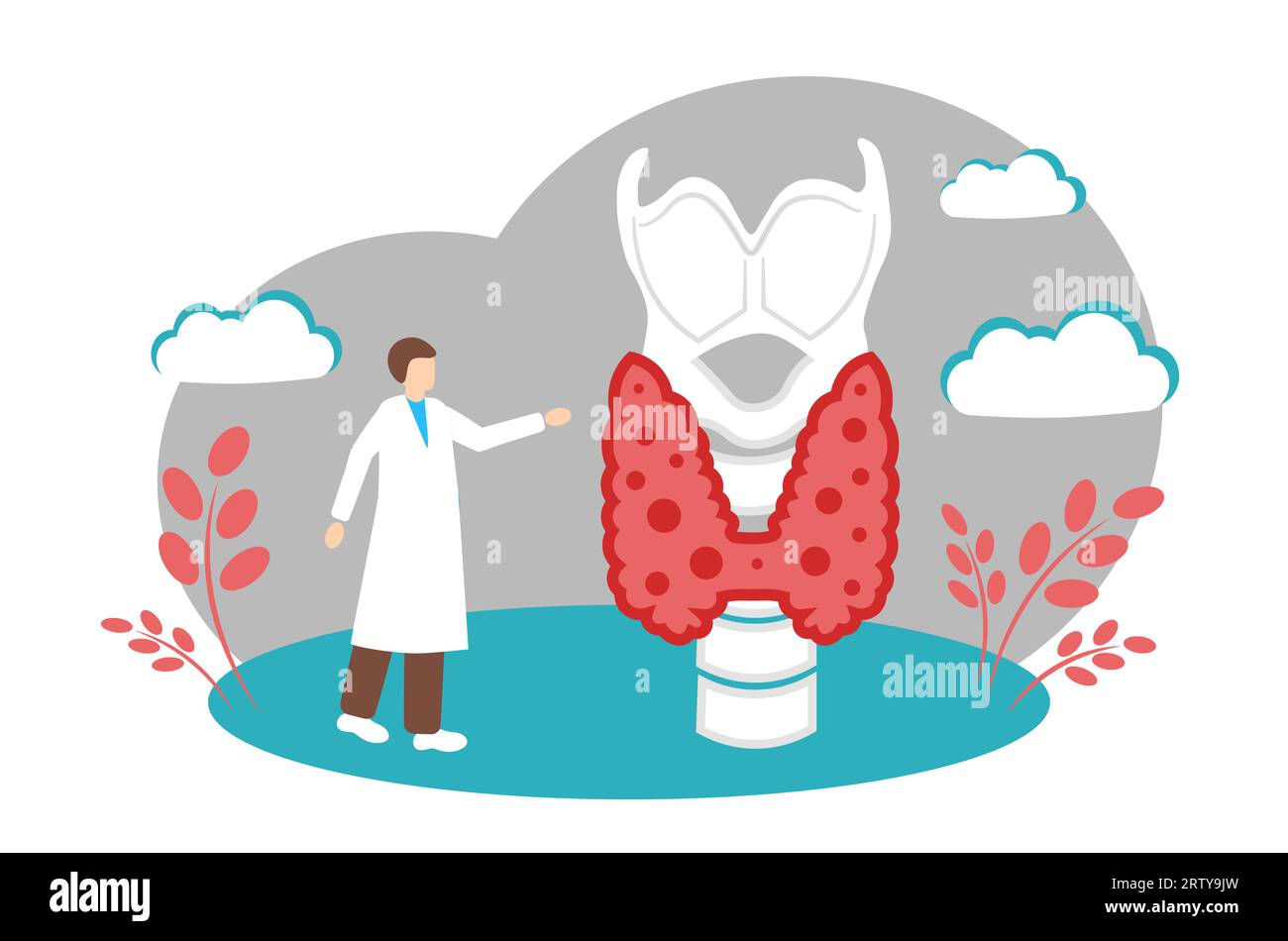 Illustration of the thyroid gland Stock Vector Image & Art - Alamy