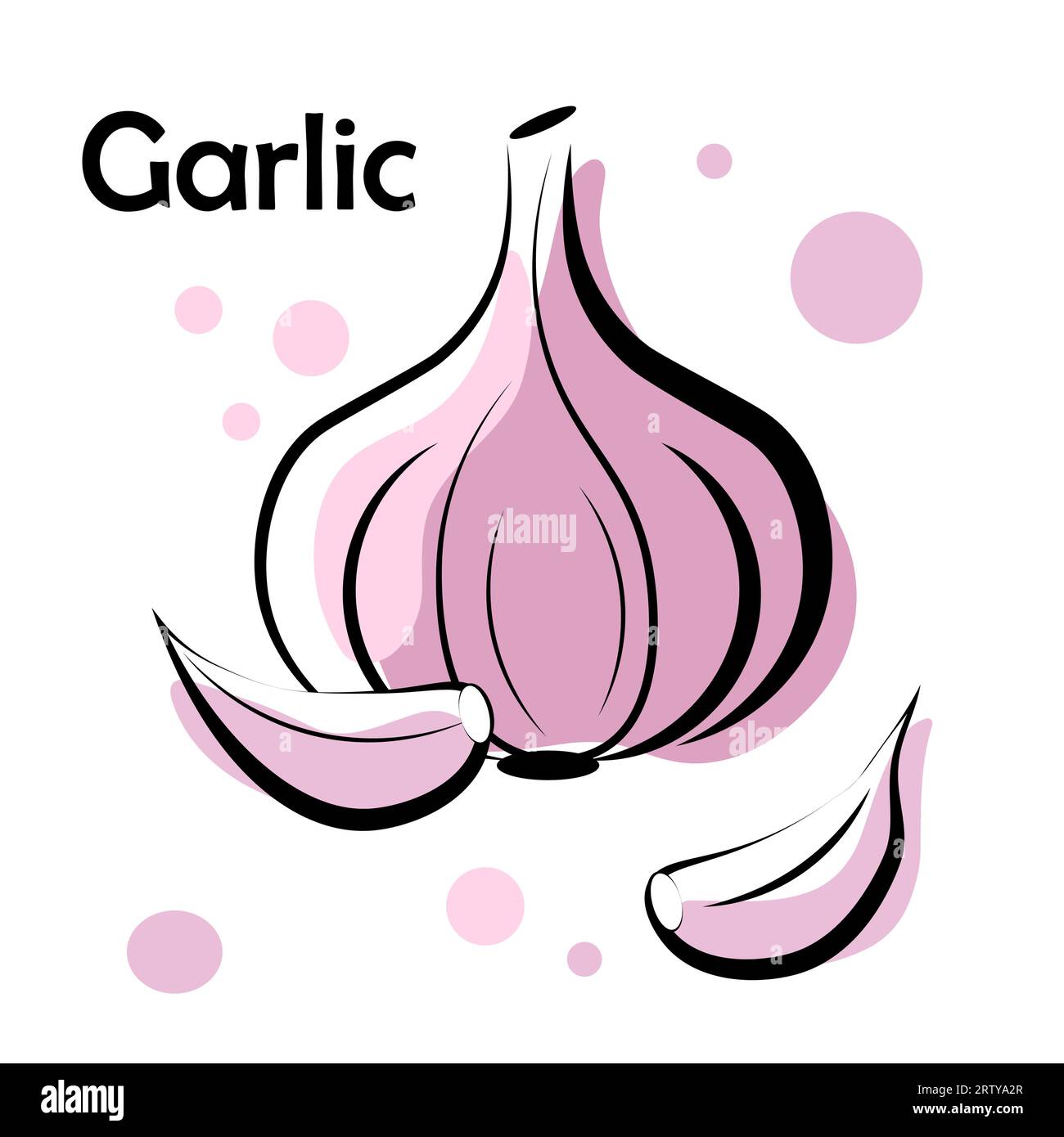 Garlic on a white background Stock Vector Image & Art - Alamy