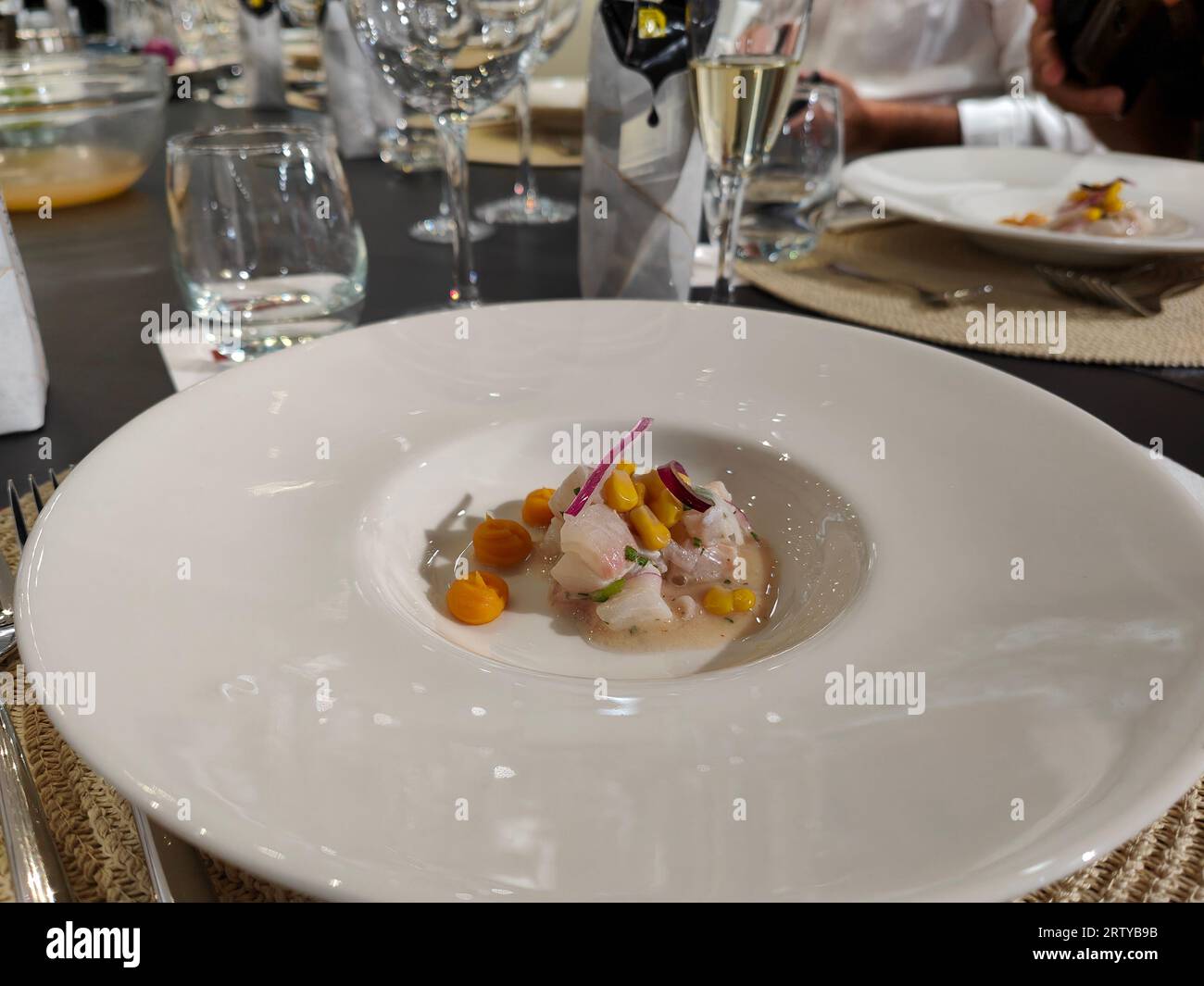 Delicious peruvian ceviche in a white dish Stock Photo - Alamy