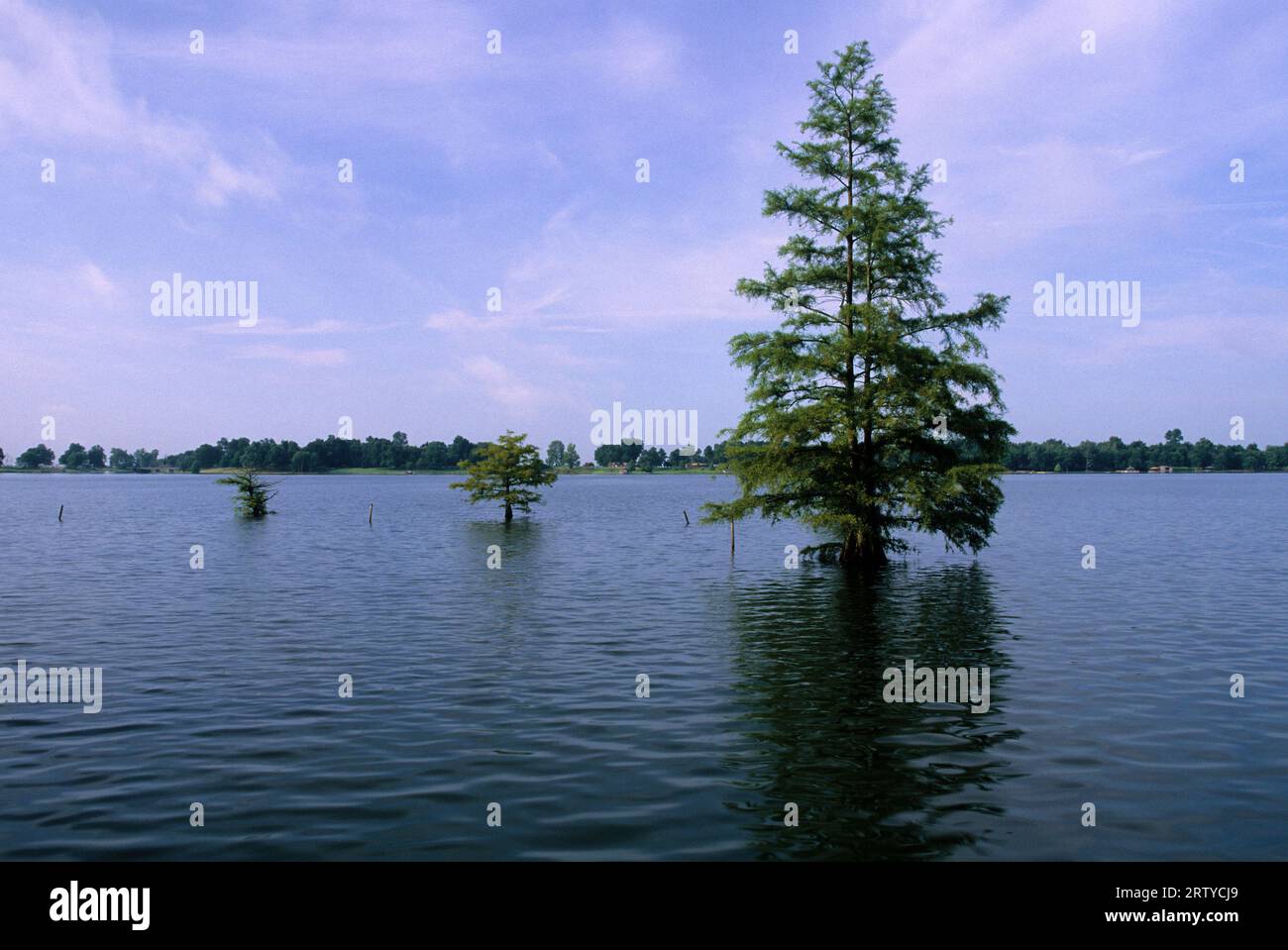 Lake Chicot, Lake Chicot County Park, Chicot County, Arkansas Stock ...