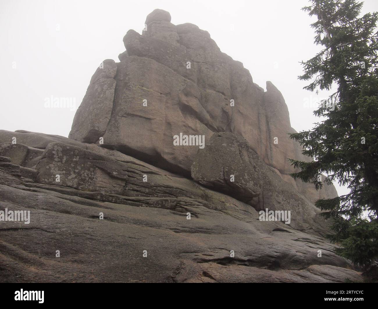 Fauna and flora of the karkonosze mountains hi-res stock photography ...