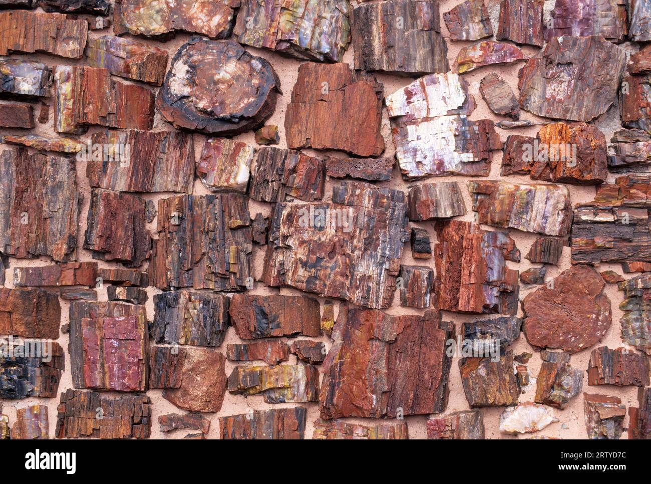 Agate House wall, Petrified Forest National Park, Arizona Stock Photo ...