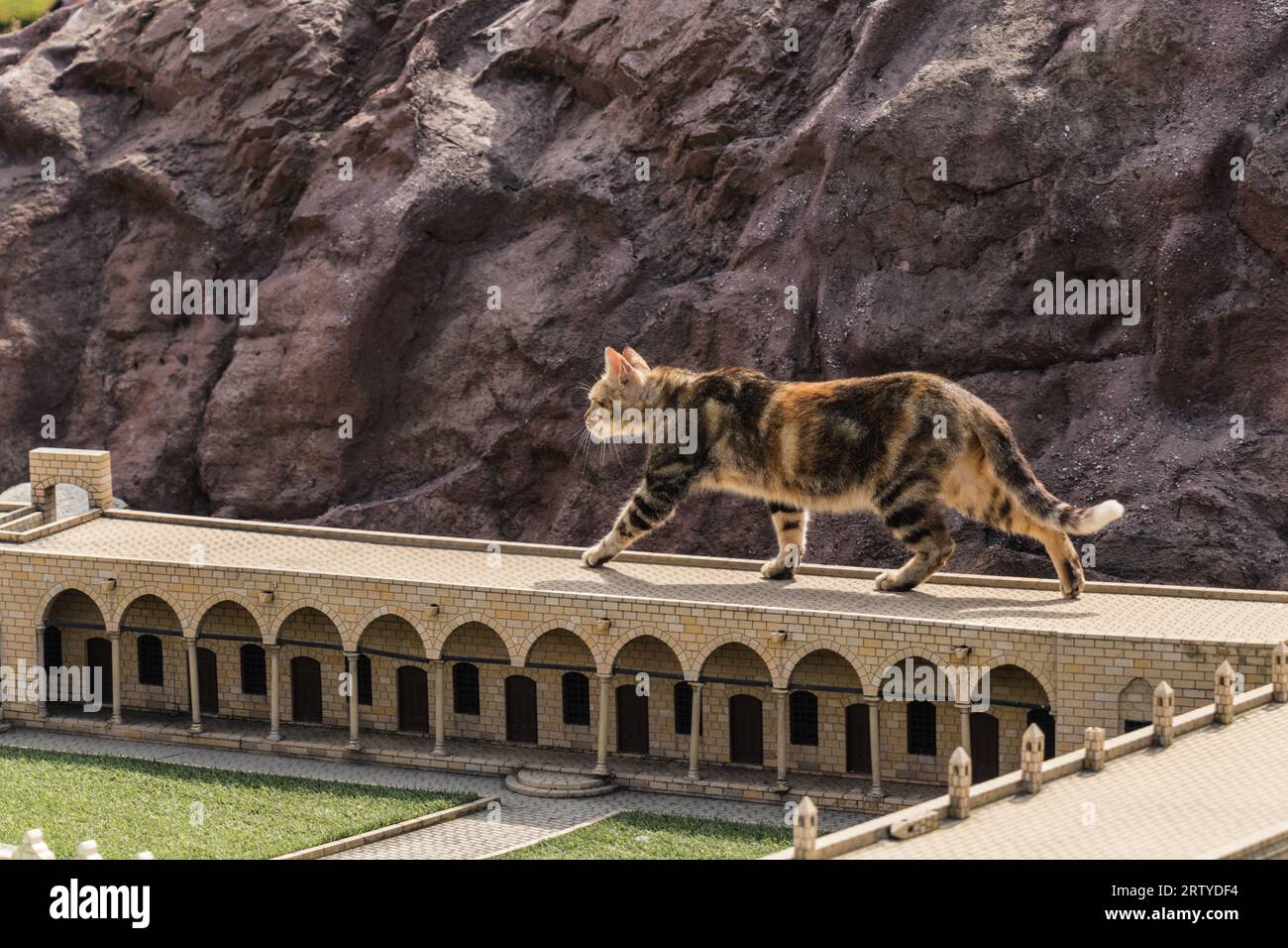 Mini Turkey scale model Stock Photo - Alamy