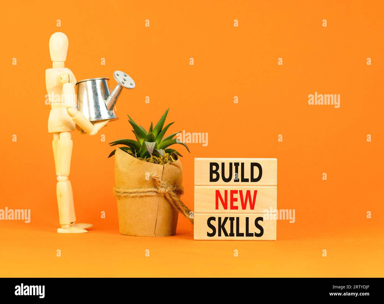 Build new skills symbol. Concept word Build new skills on beautiful ...