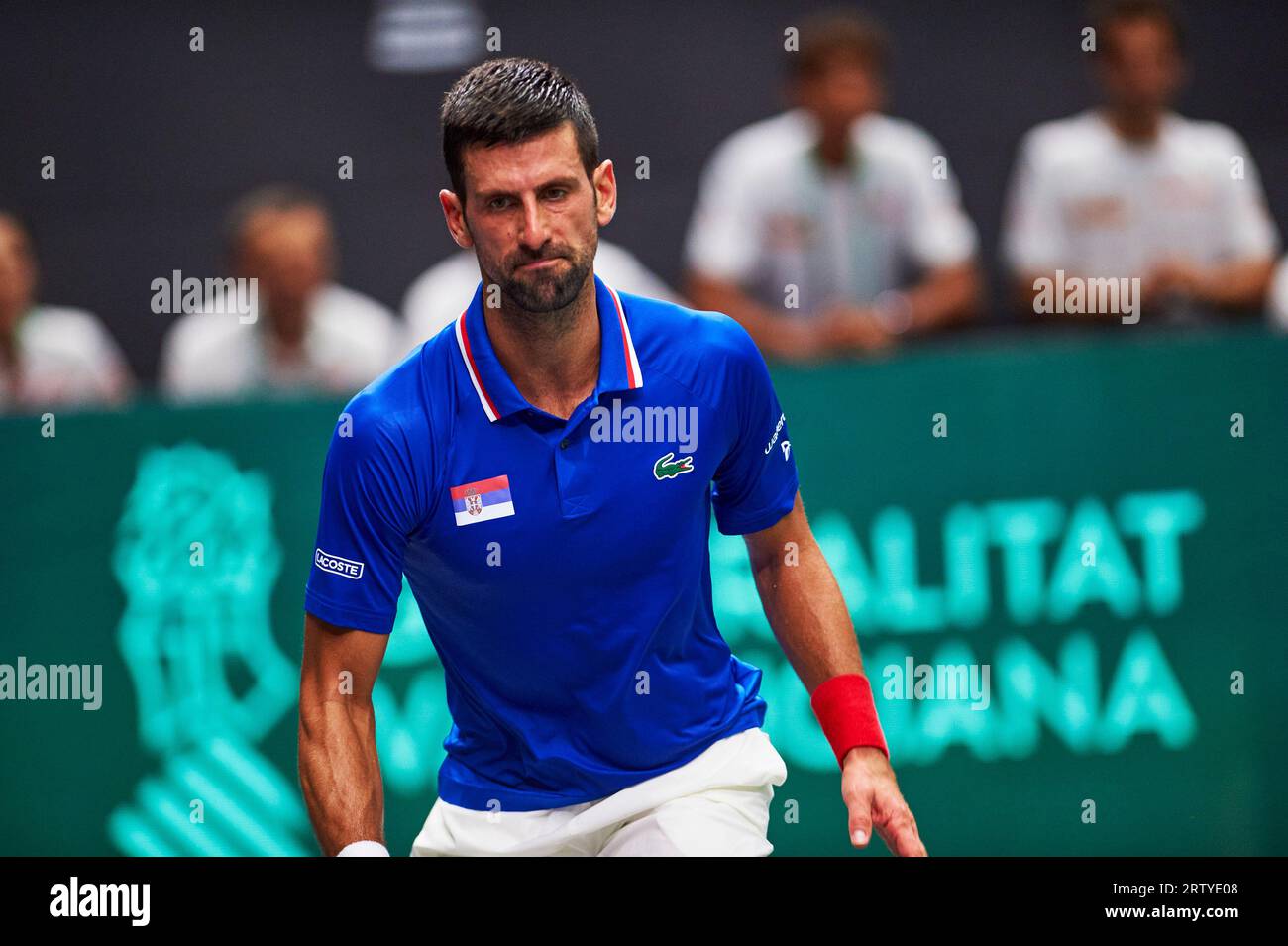 Novak Djokovic of Serbia in action during the DAVIS CUP at The Pabellon ...