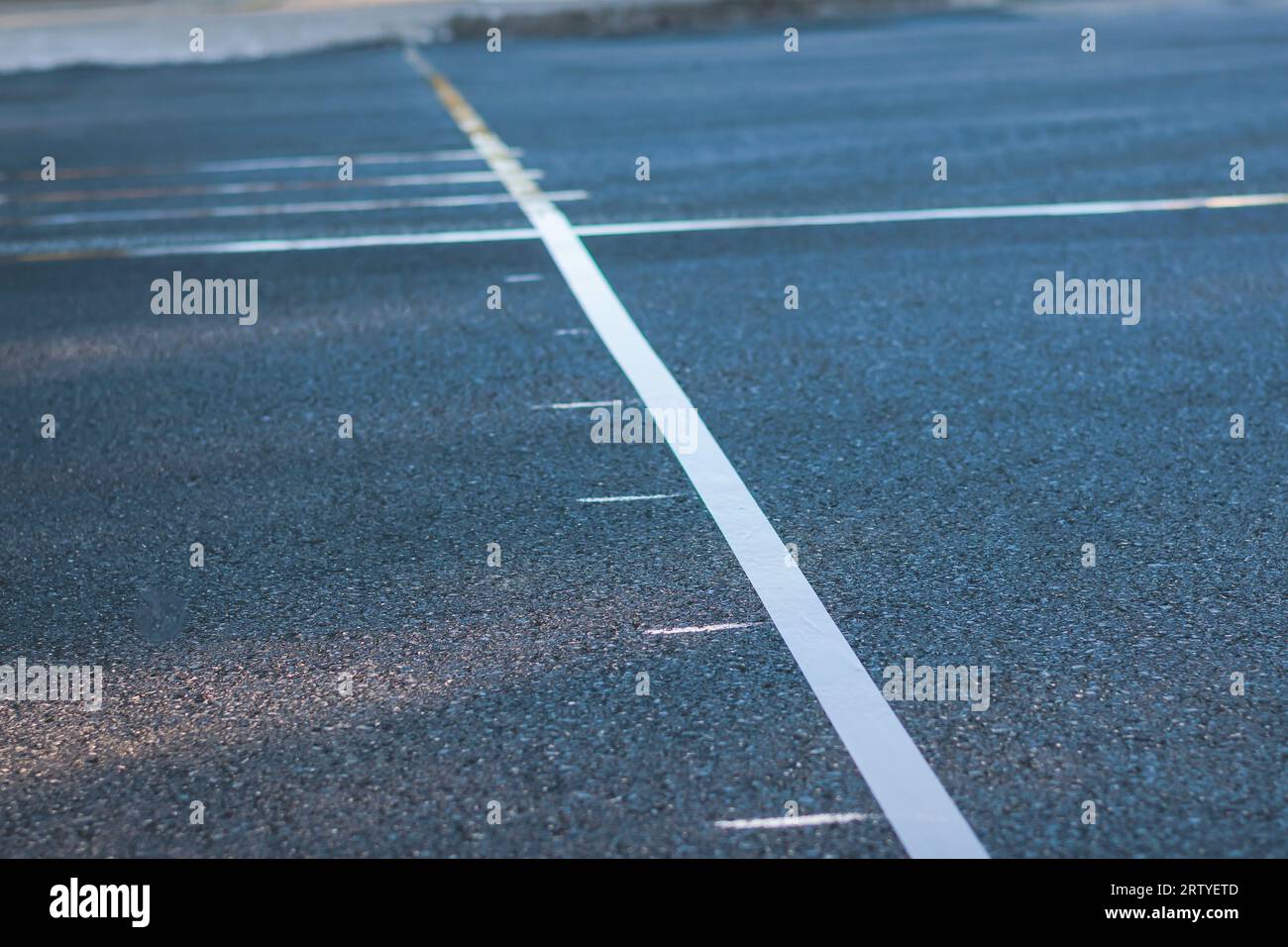 Process of making new road surface markings with a line striping ...