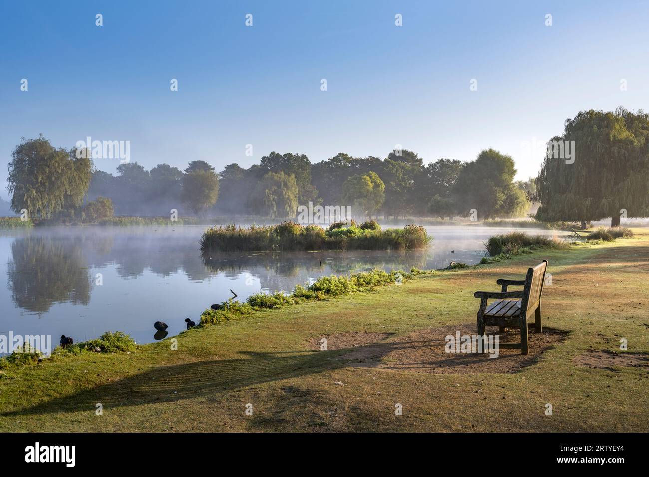 Resting bench to just sit and contemplate life Stock Photo - Alamy