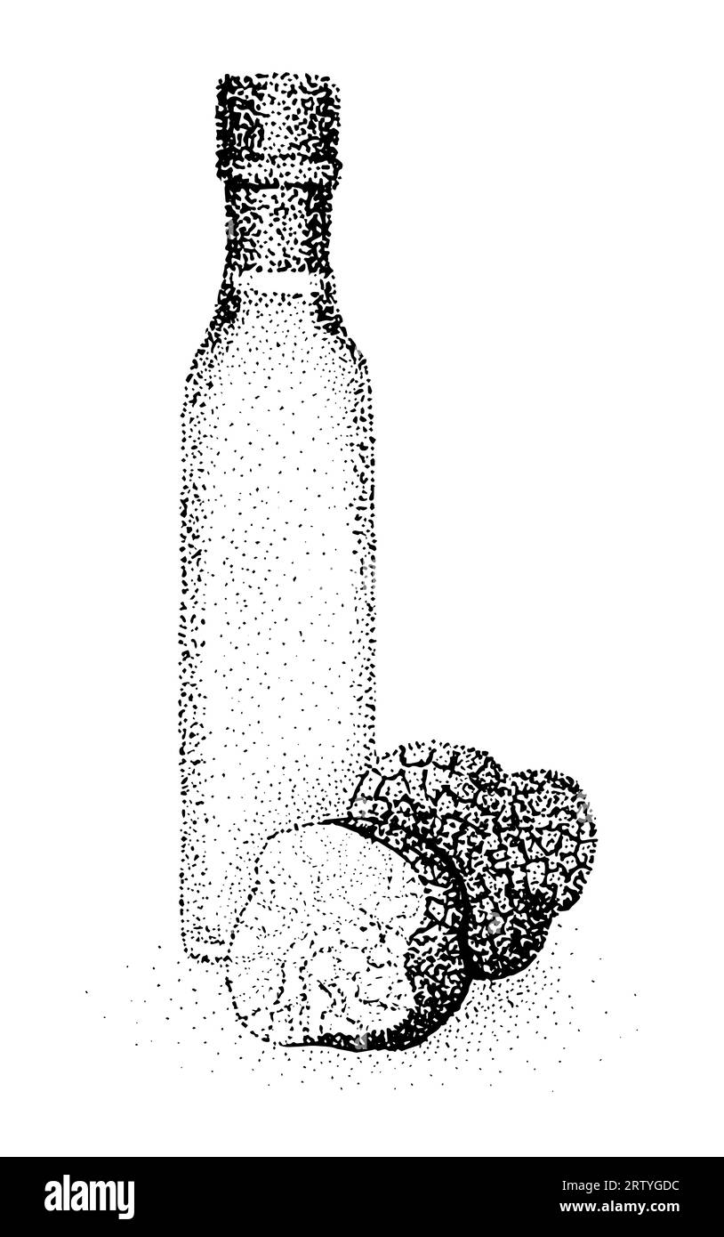 Mushrooms boletus background Black and White Stock Photos & Images - Alamy