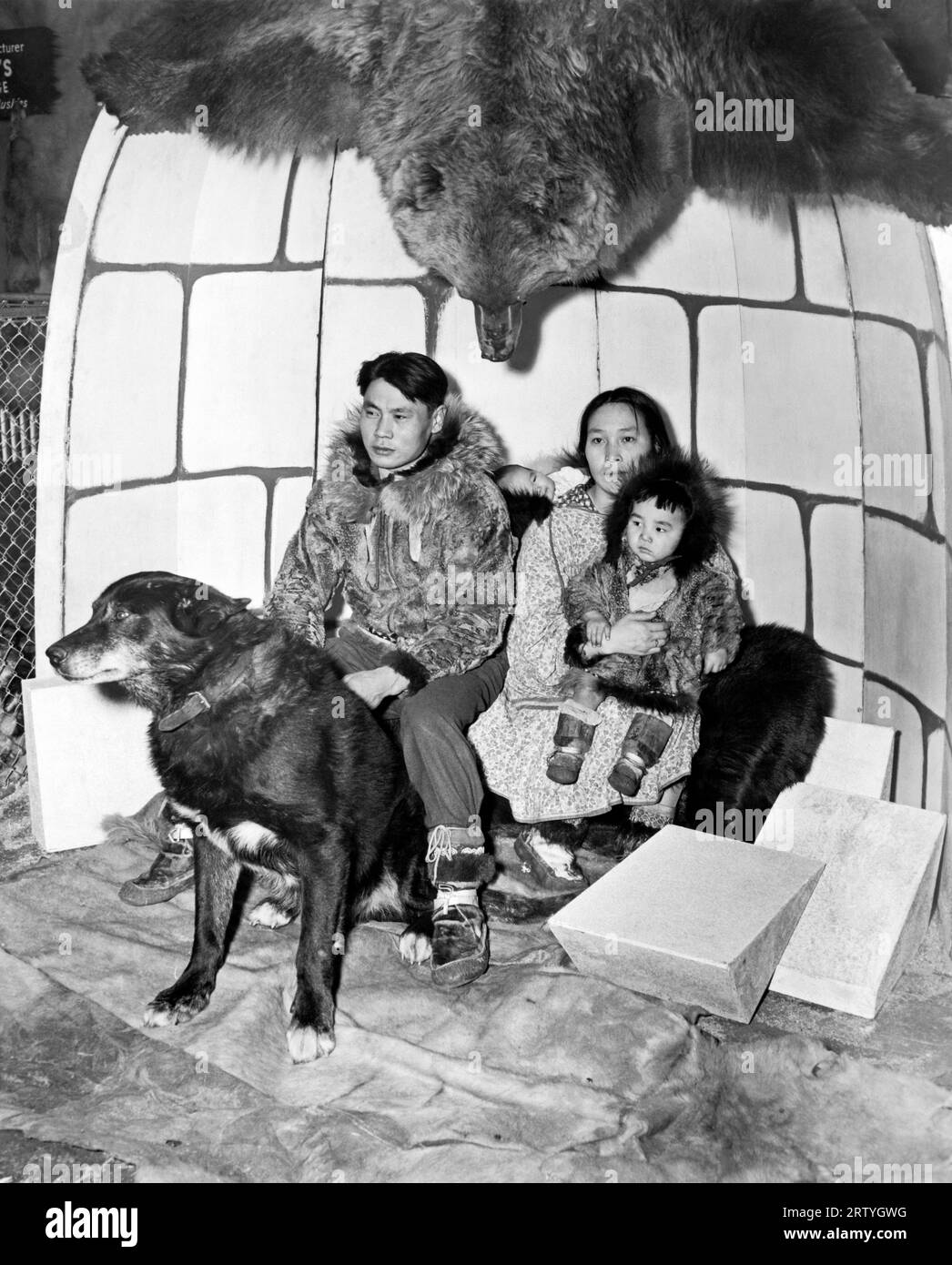 New York, New York, February 15, 1947 One of the highlights of the ...