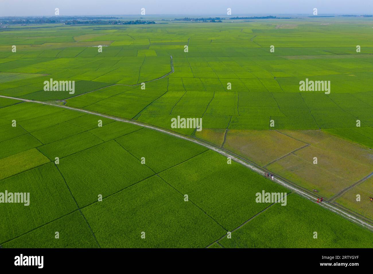 Birds eye view green field hi-res stock photography and images - Alamy