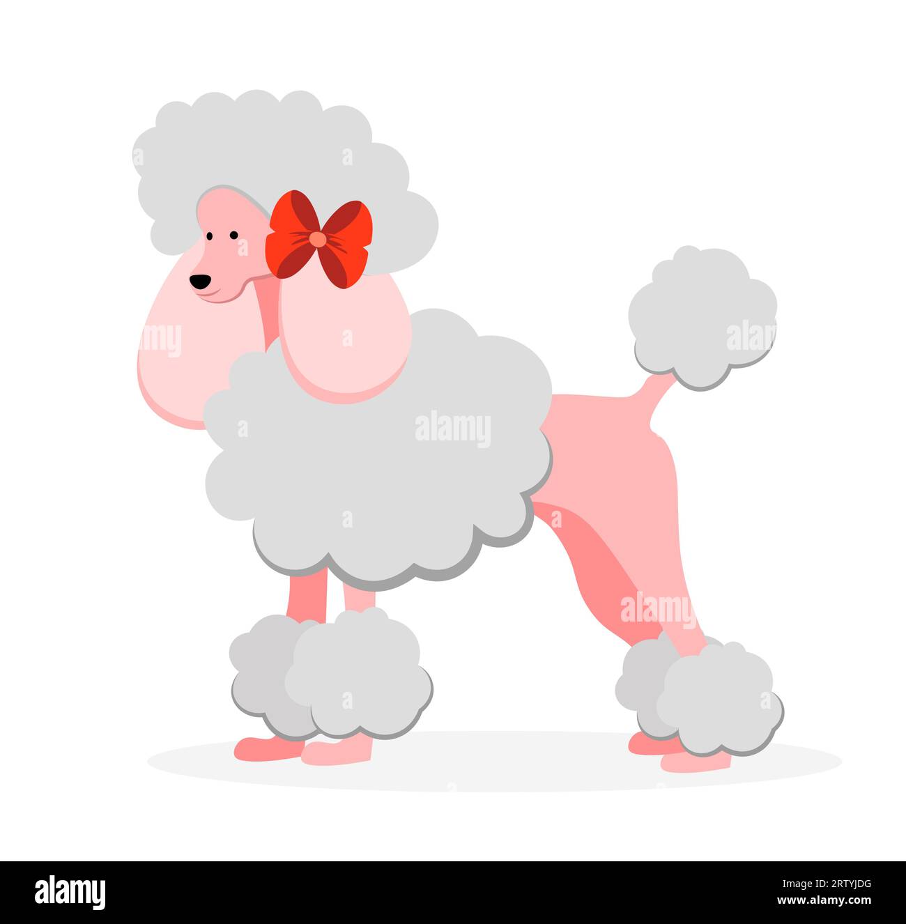 Pink poodle on white background Stock Vector Image & Art - Alamy