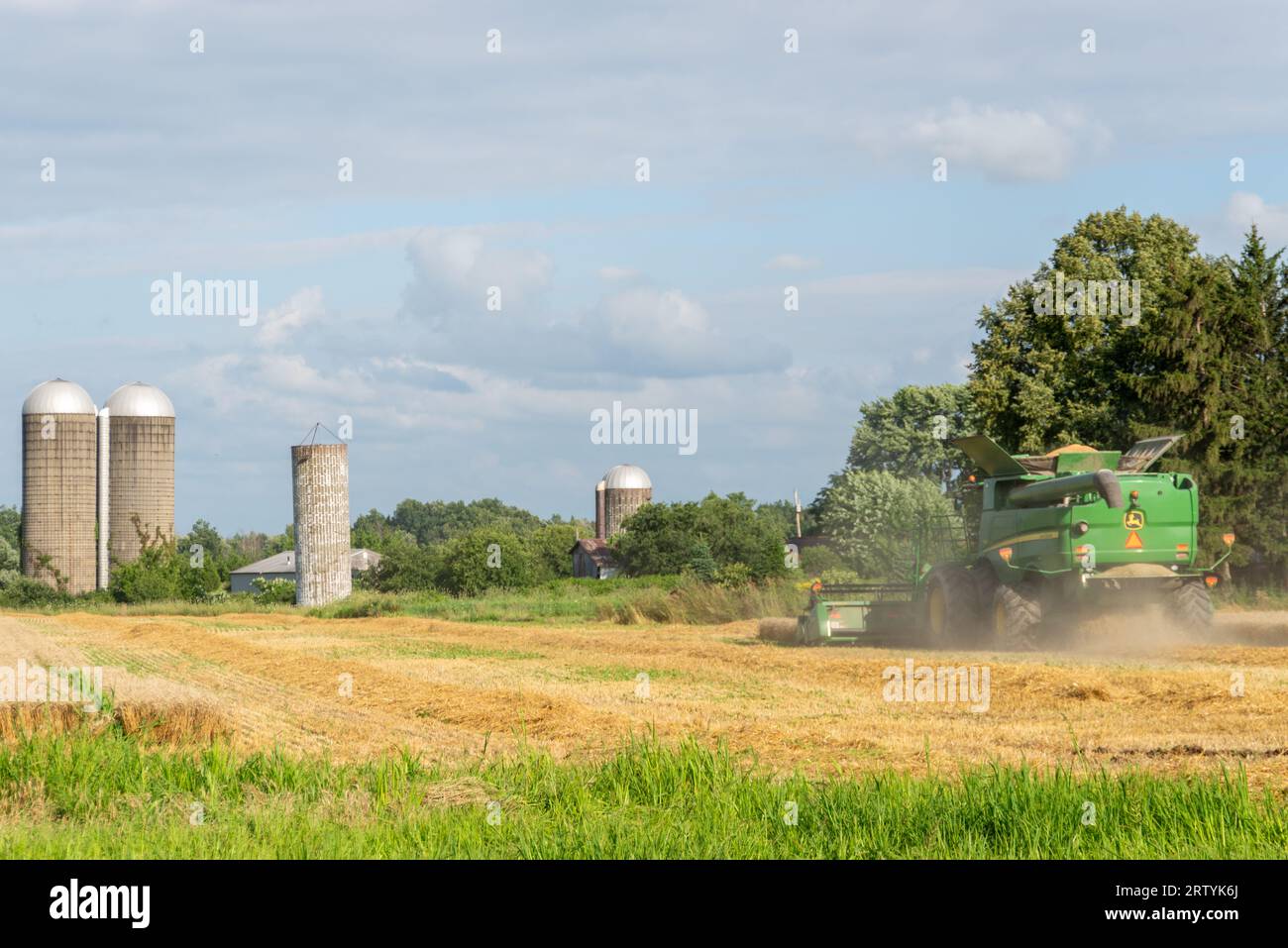 Combining wheat hi-res stock photography and images - Alamy
