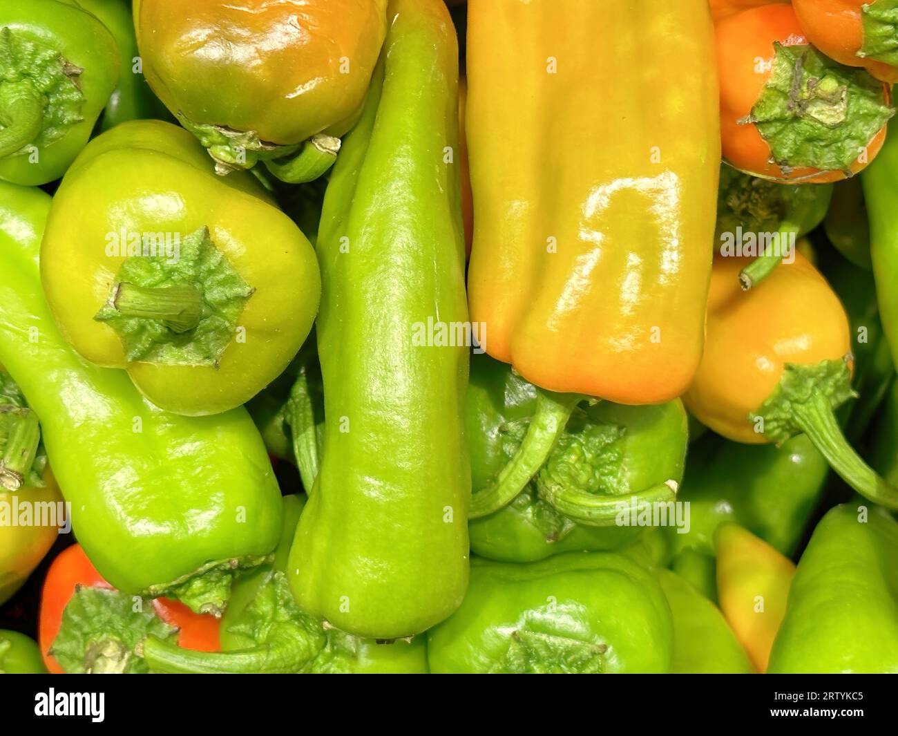 Texture of fresh sweet bell peppers high angle view. Food and ...
