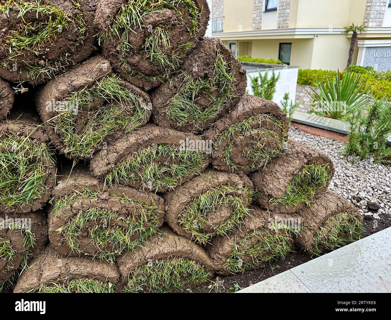 Fresh green rolls of lawn grass ready for laying down in the new ...