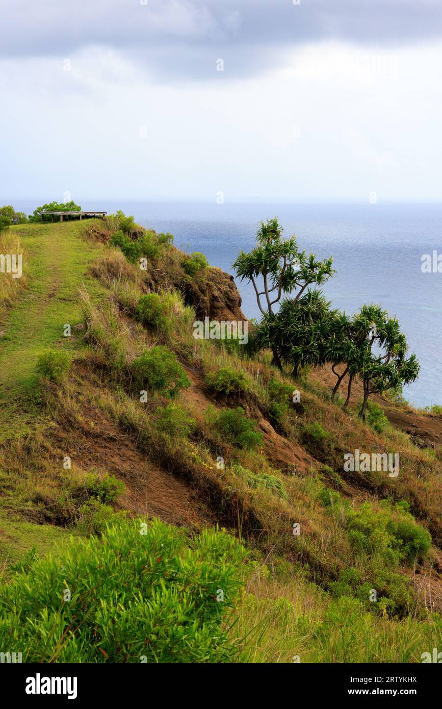 trees growing out of mountain, fiji Stock Photo - Alamy