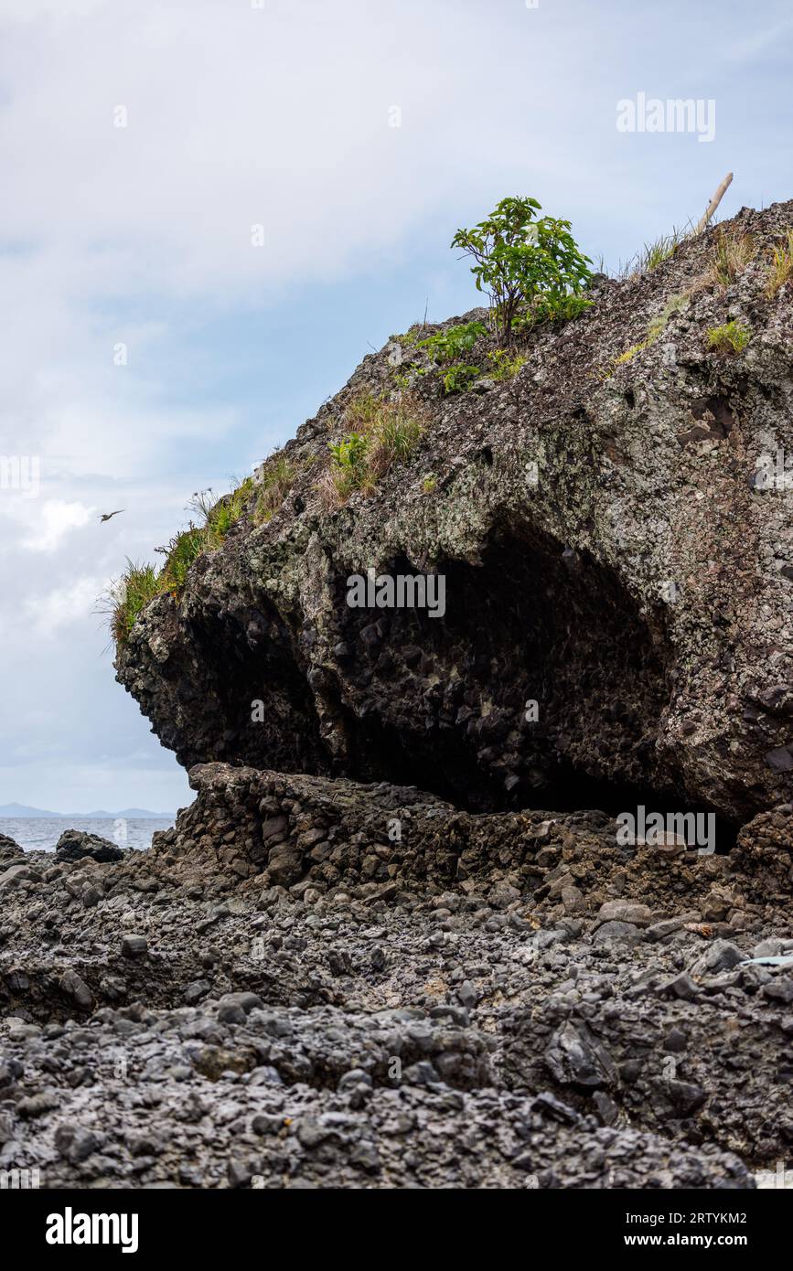 brown igneous rock on a rocky beach Stock Photo - Alamy