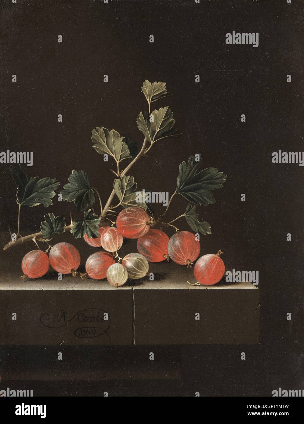 Gooseberries on a table, oil painting by Dutch artist Adriaen Coorte ...
